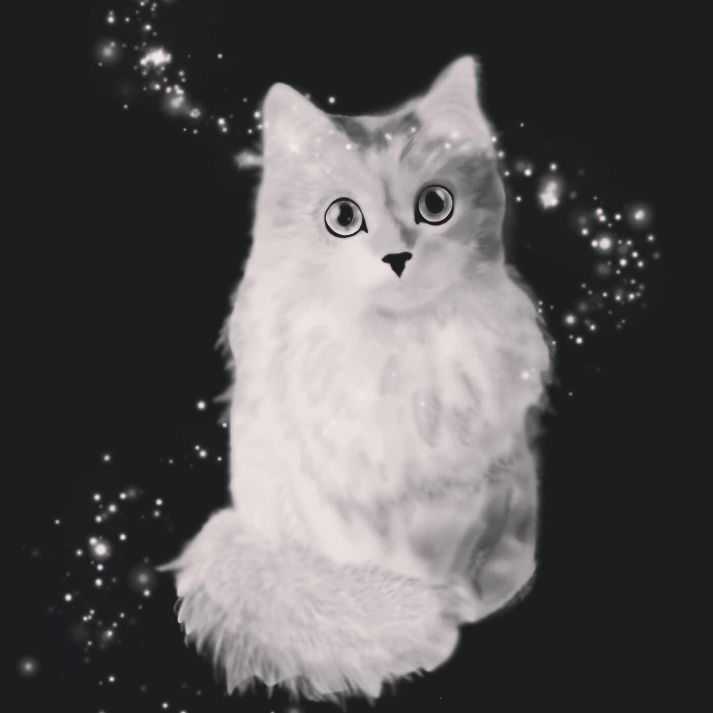 ArtStation - Magic cat