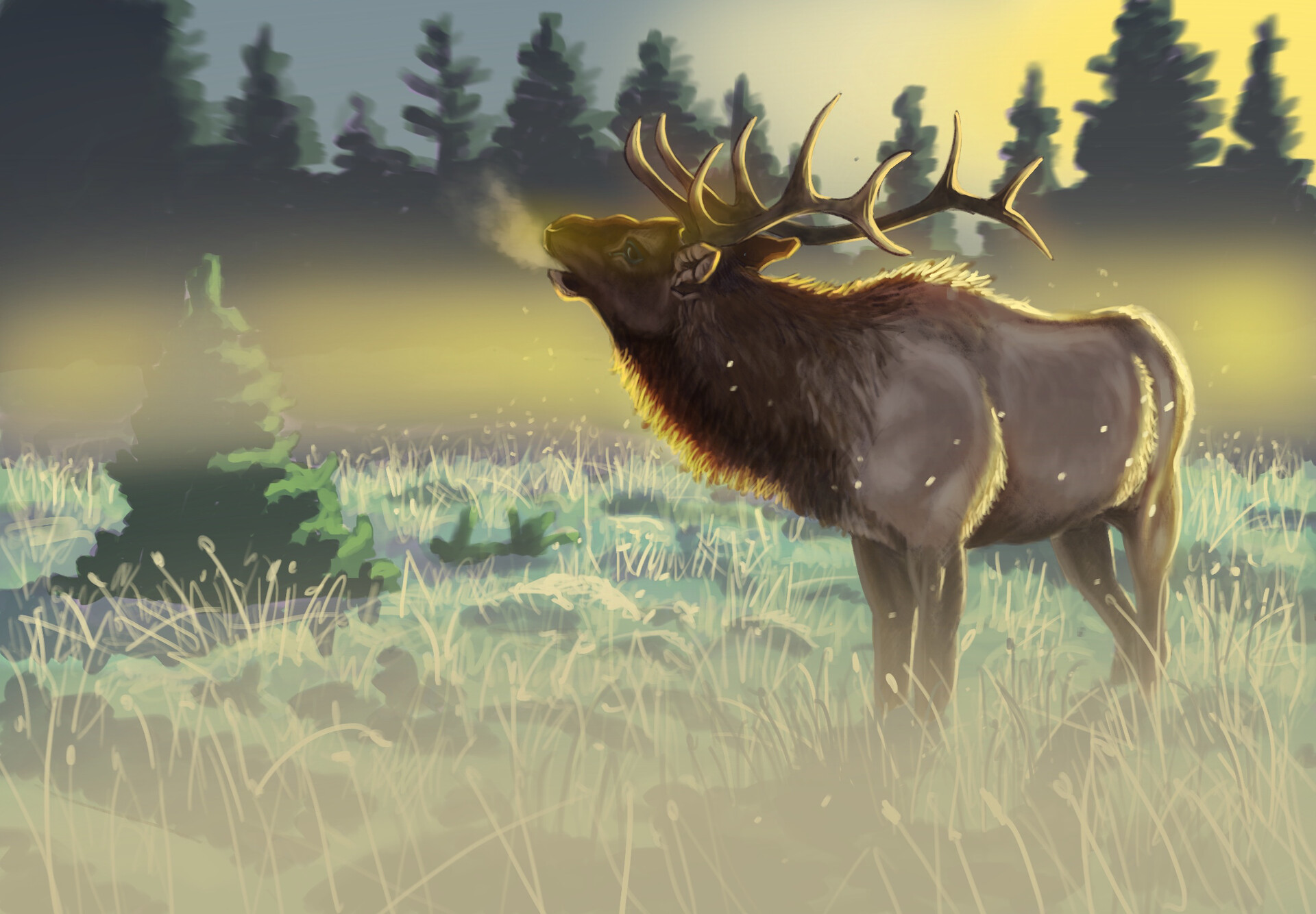 ArtStation - Elk