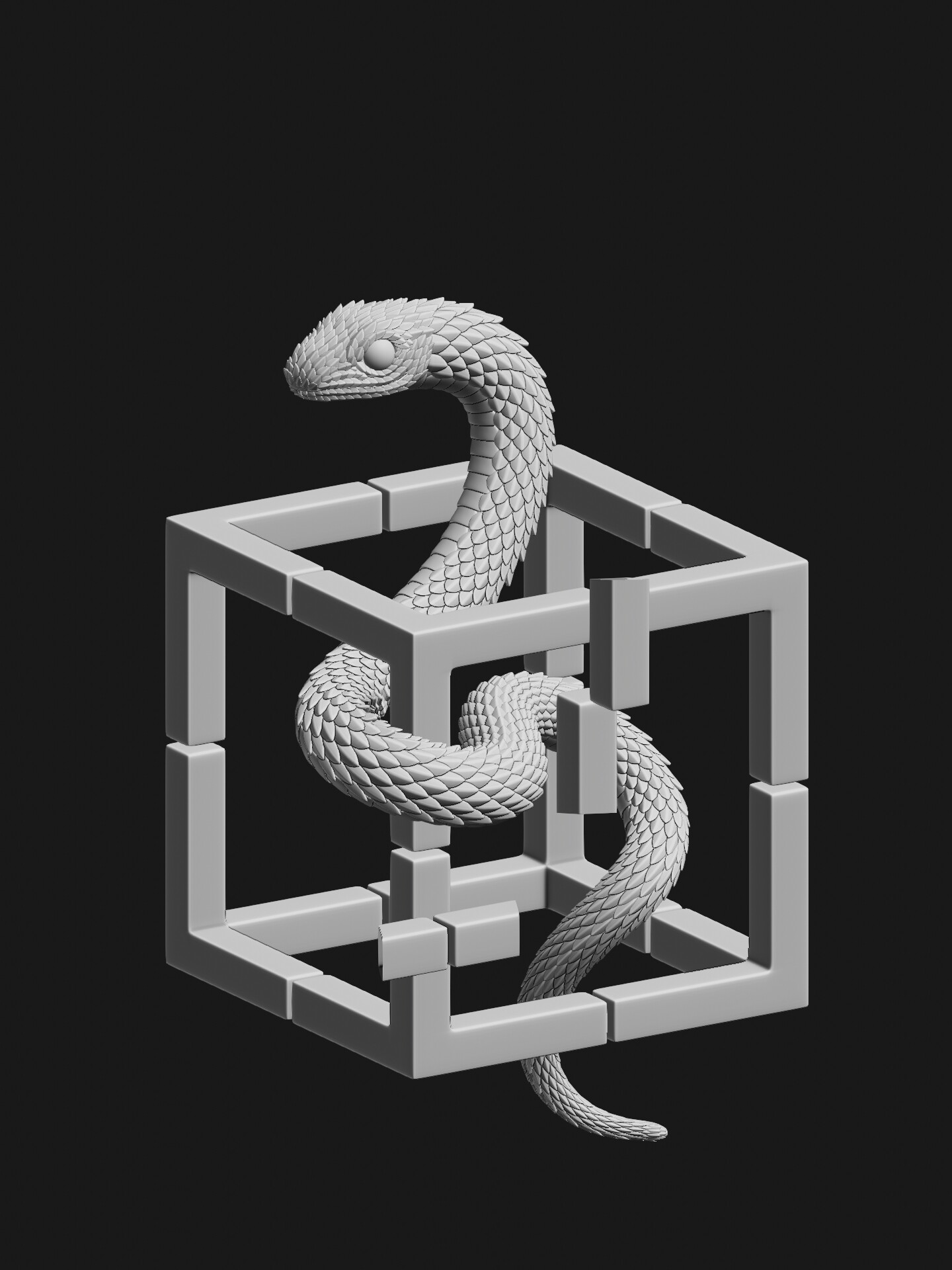 Matías Gárate - Impossible Figure with Dragon Snake