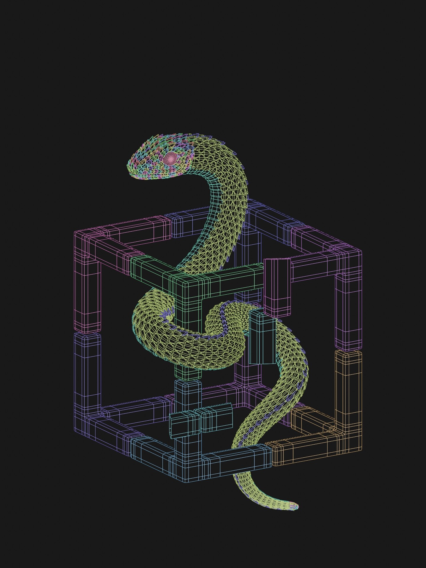 Matías Gárate - Impossible Figure with Dragon Snake