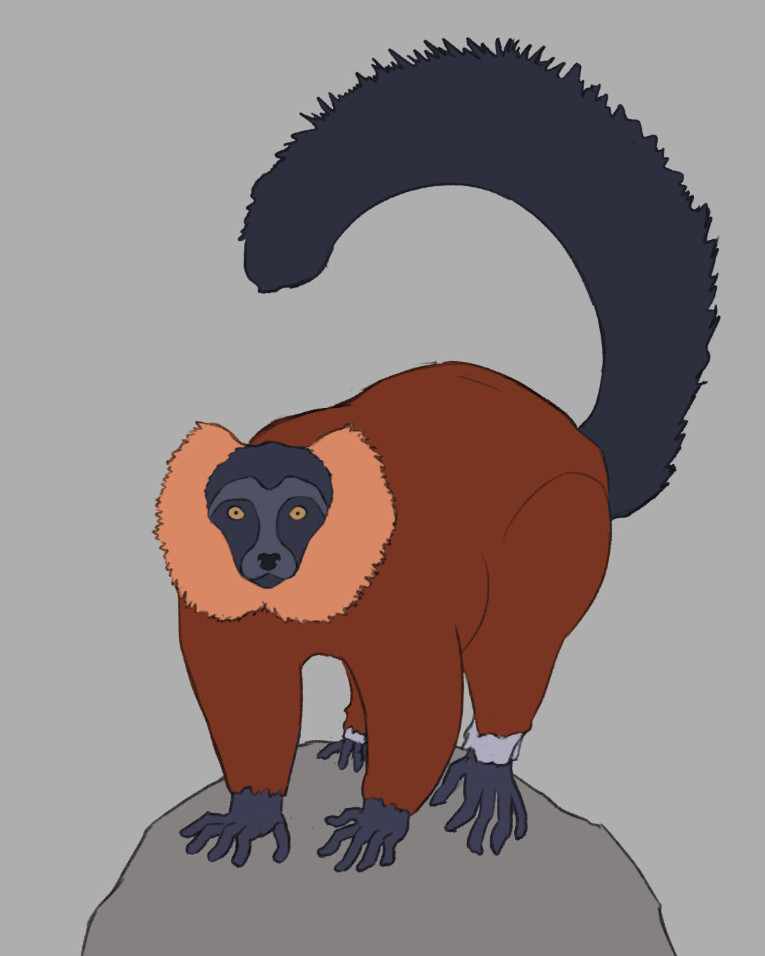 René Westerveld - Aperil day 28: Red ruffed lemur