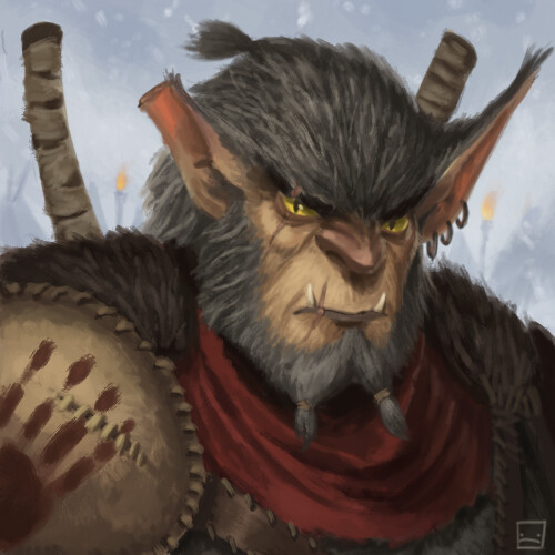 Joshua Hardie - D&D - Token Portraits, campaign 1