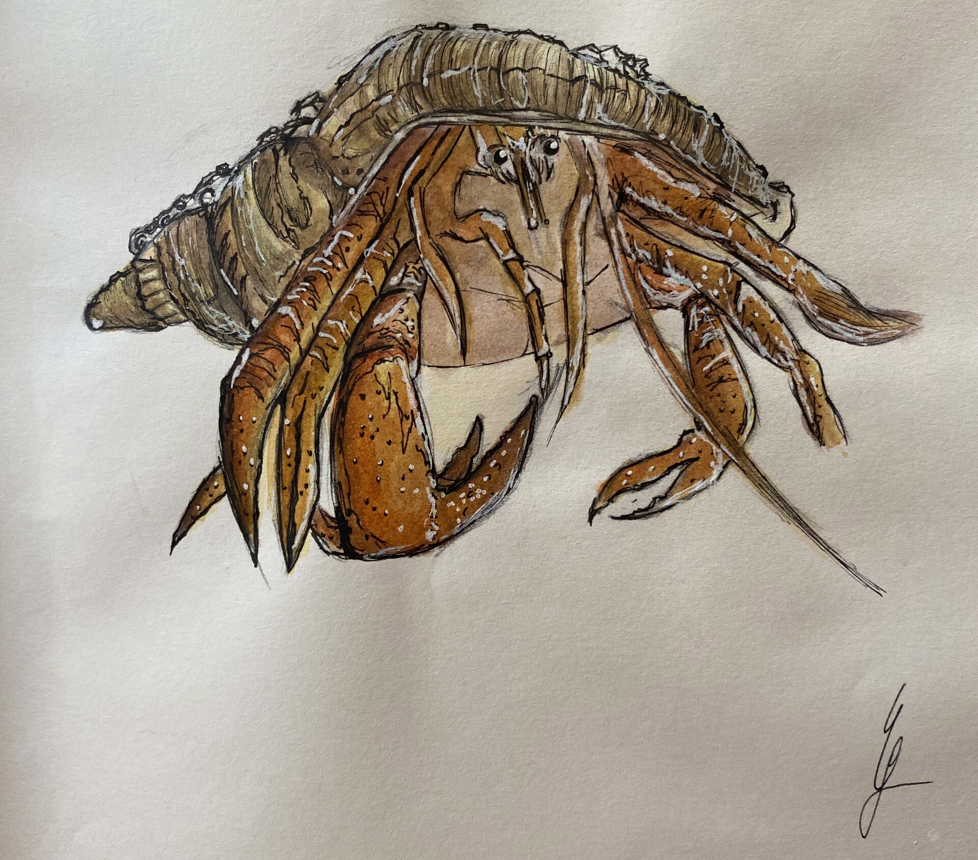 ArtStation - Crustacean