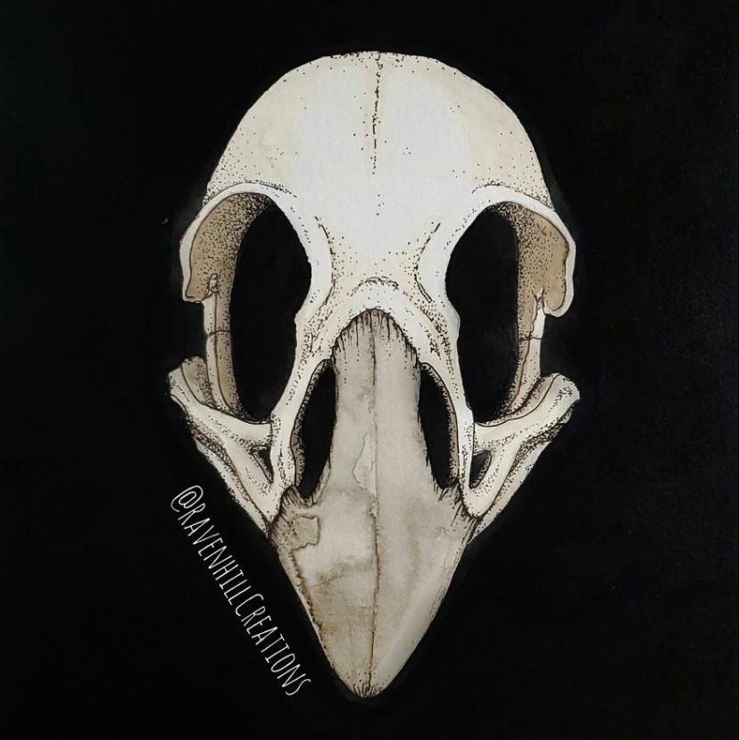 Raven Skull Front