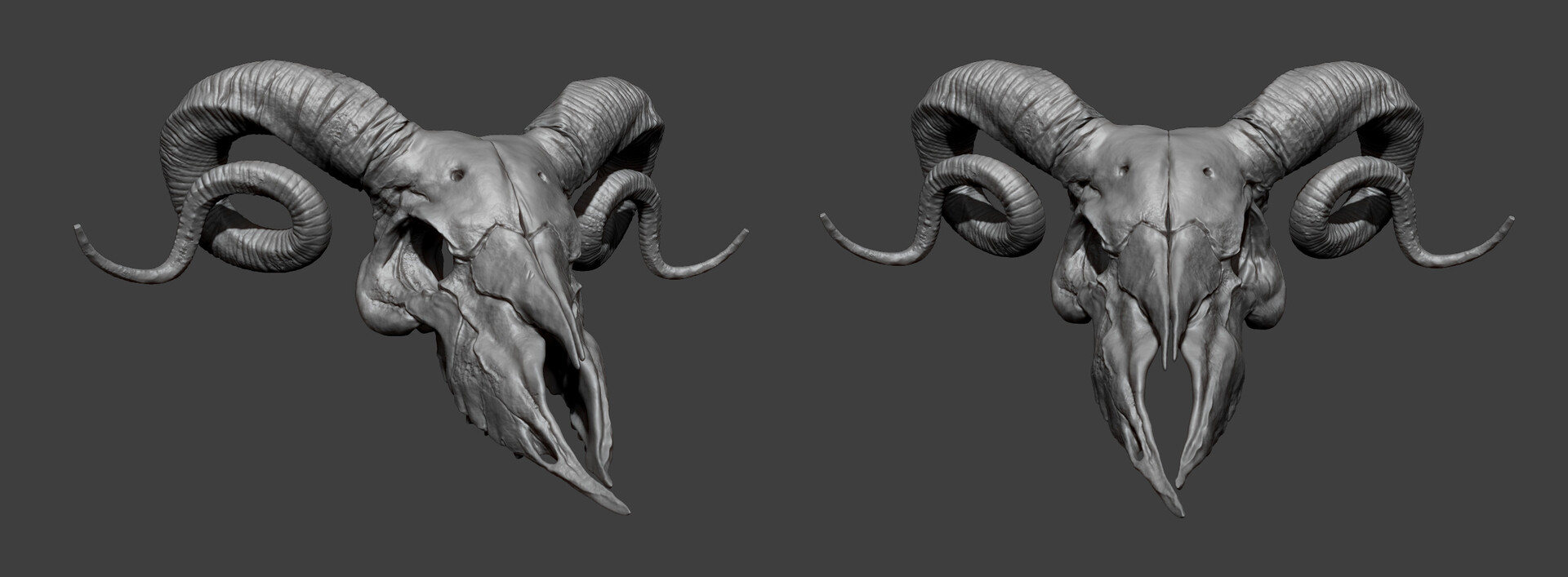 Vlad Matic - SKELET0R