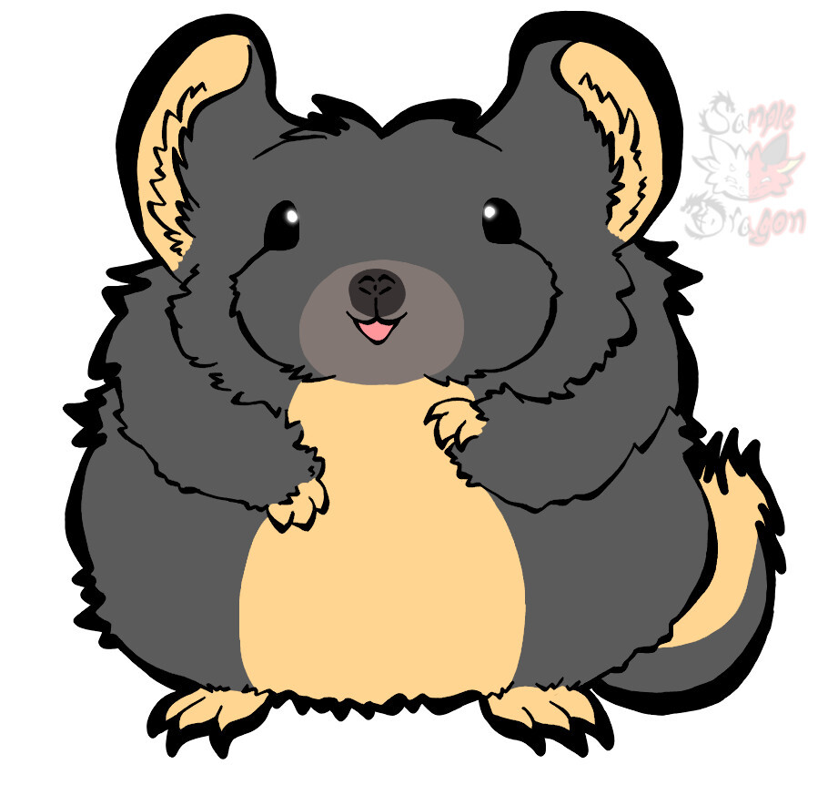 chinchilla coloring page free