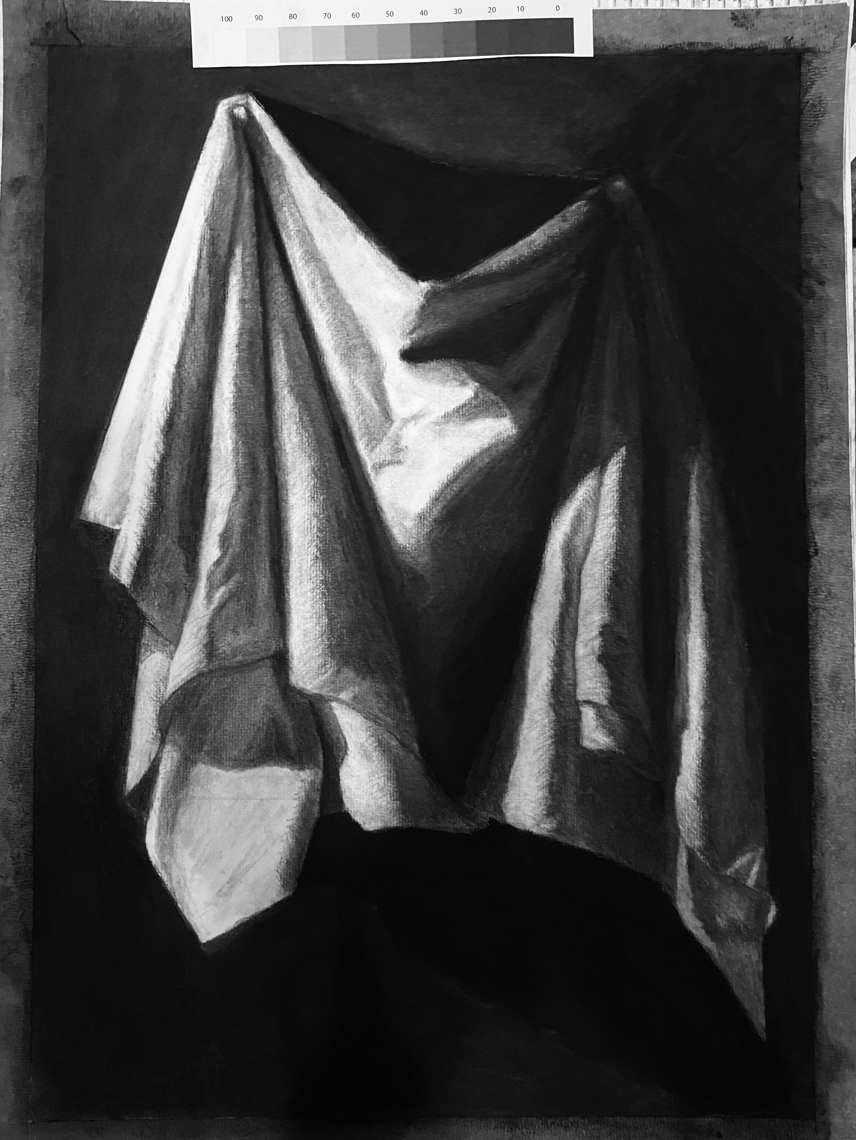 Jordan Fridie - Shin Sehwi Portrait and Value Studies (Charcoal)