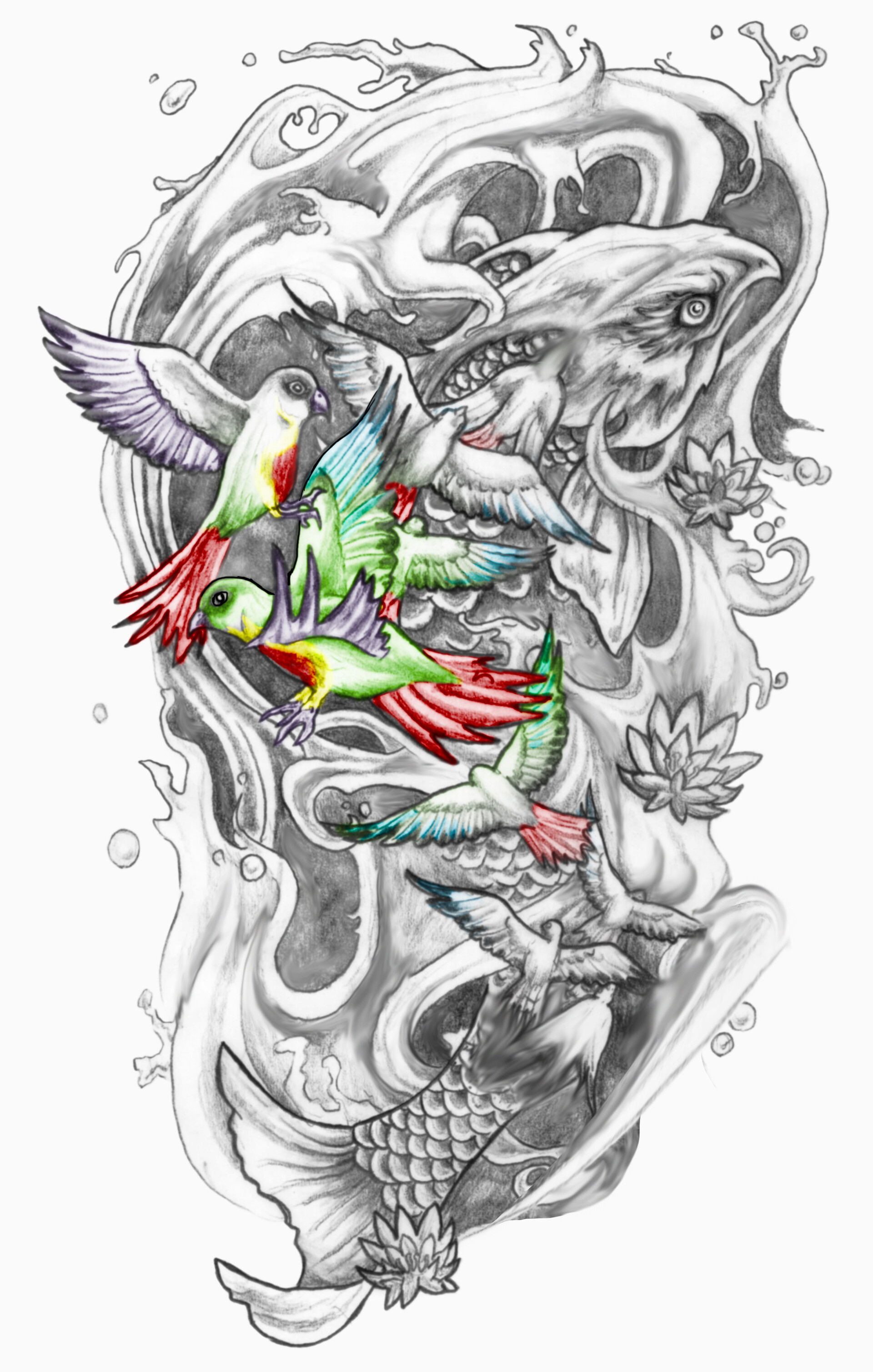 ArtStation - Morphing Birds