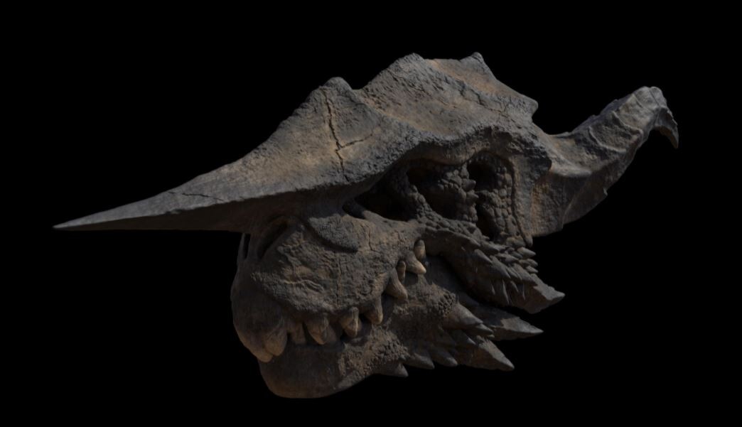 ArtStation - Variable skull (Study)