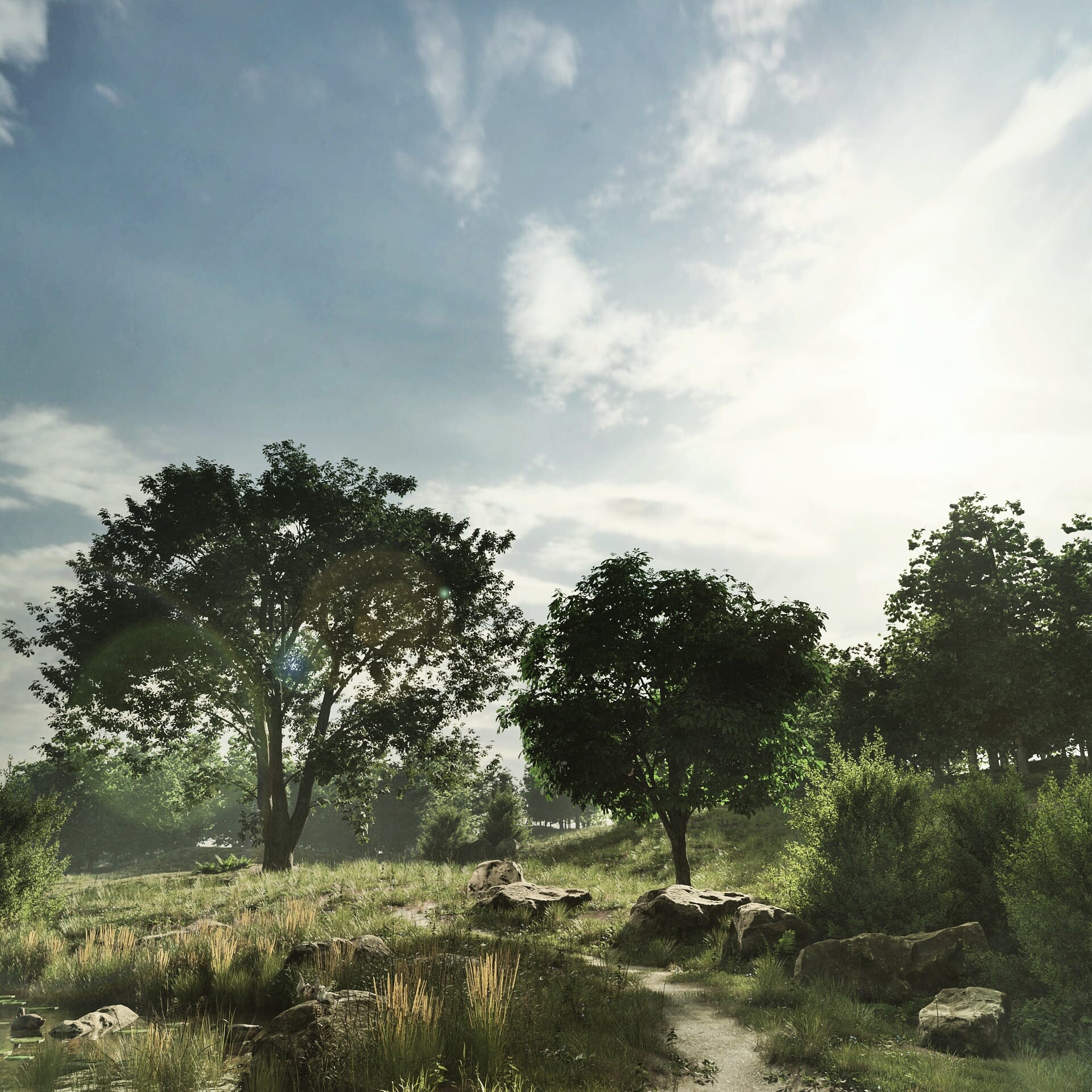 ArtStation - Peaceful Hillside