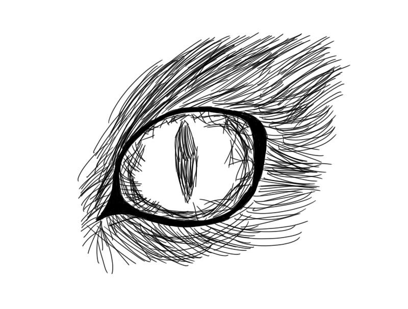 ArtStation - cat eye