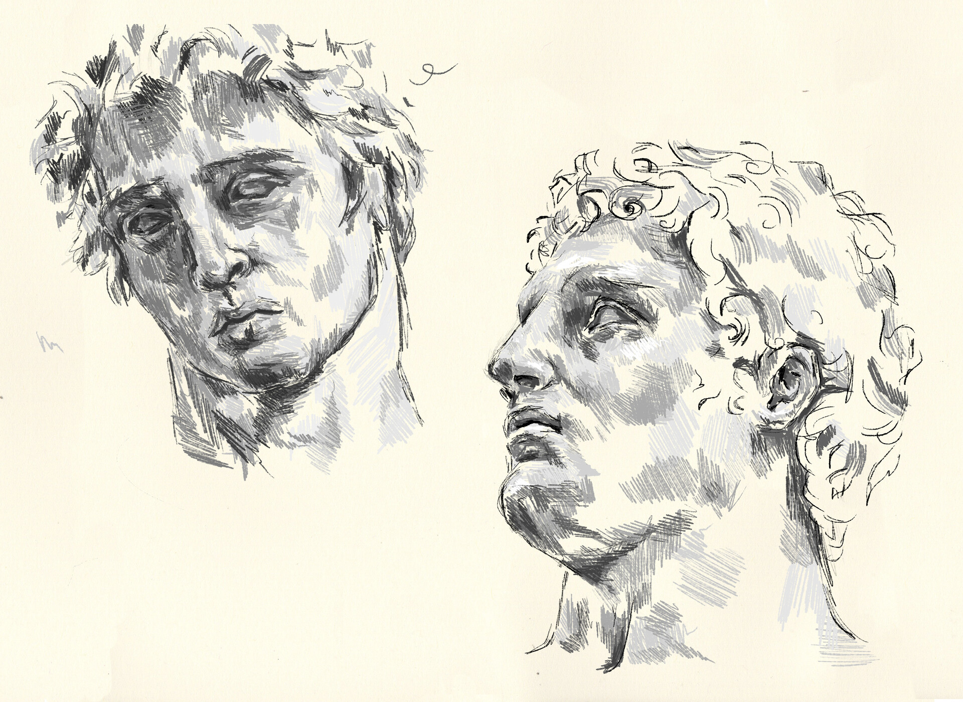 ArtStation - Bust Studies