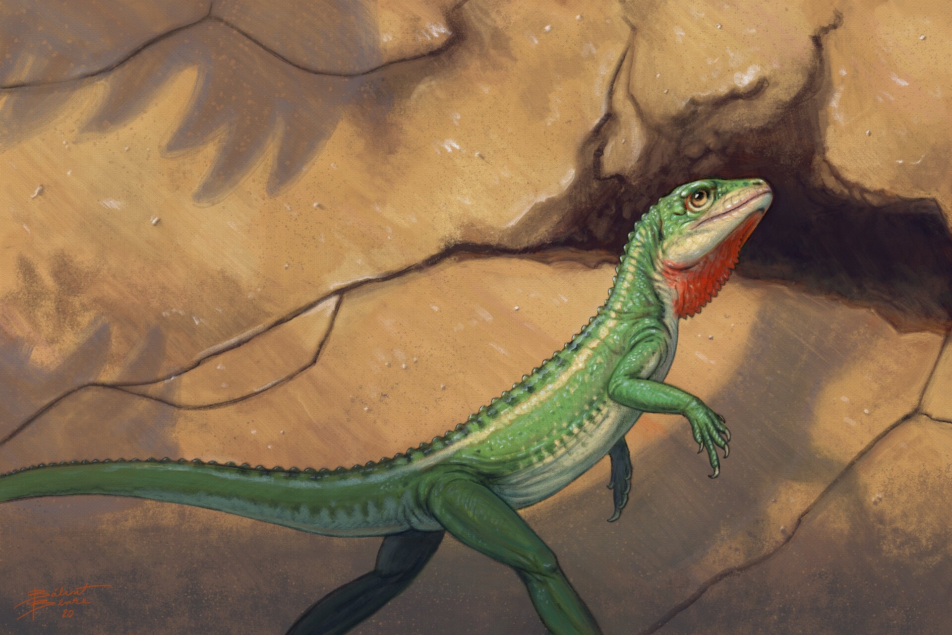 Bálint Benke - Eudibamus and unfinished bromacker formation sketches