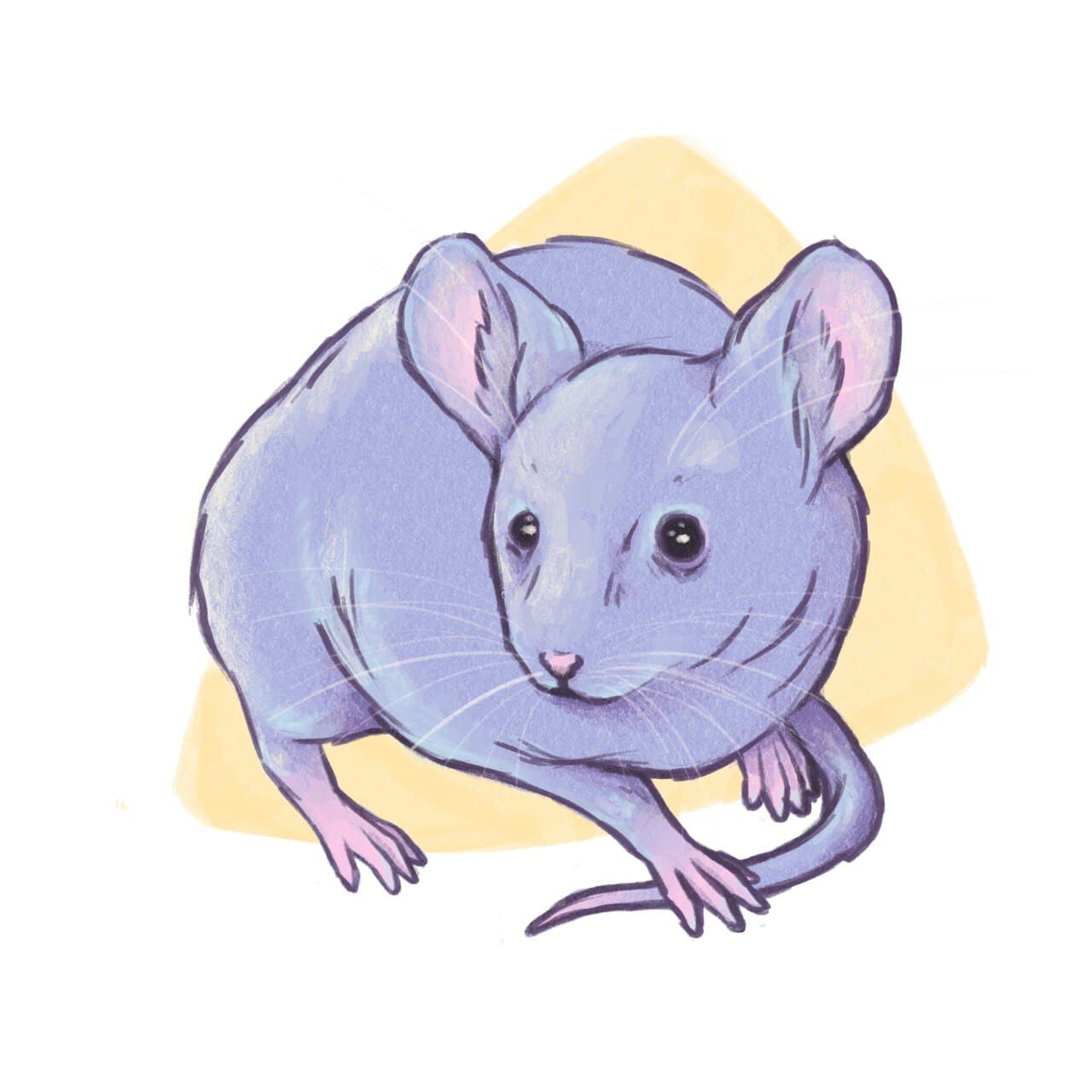 ArtStation - Purple mouse