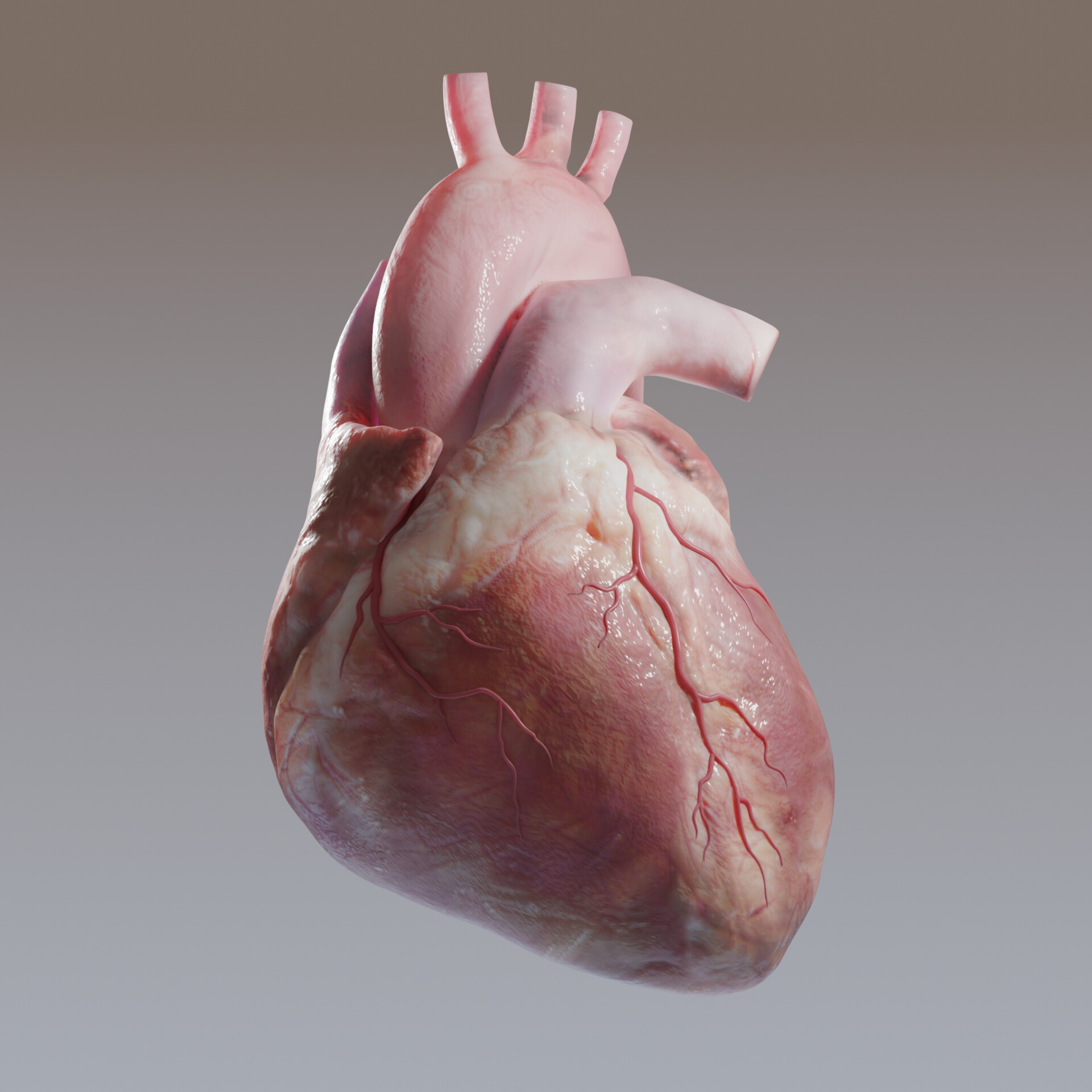 ArtStation - Realistic Heart