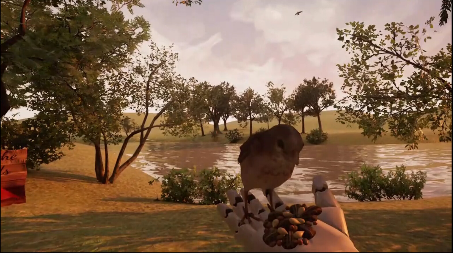 ArtStation - Bird Watching VR