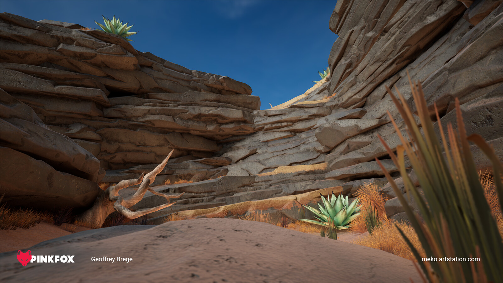 Geoffrey Brege - The Way Forward