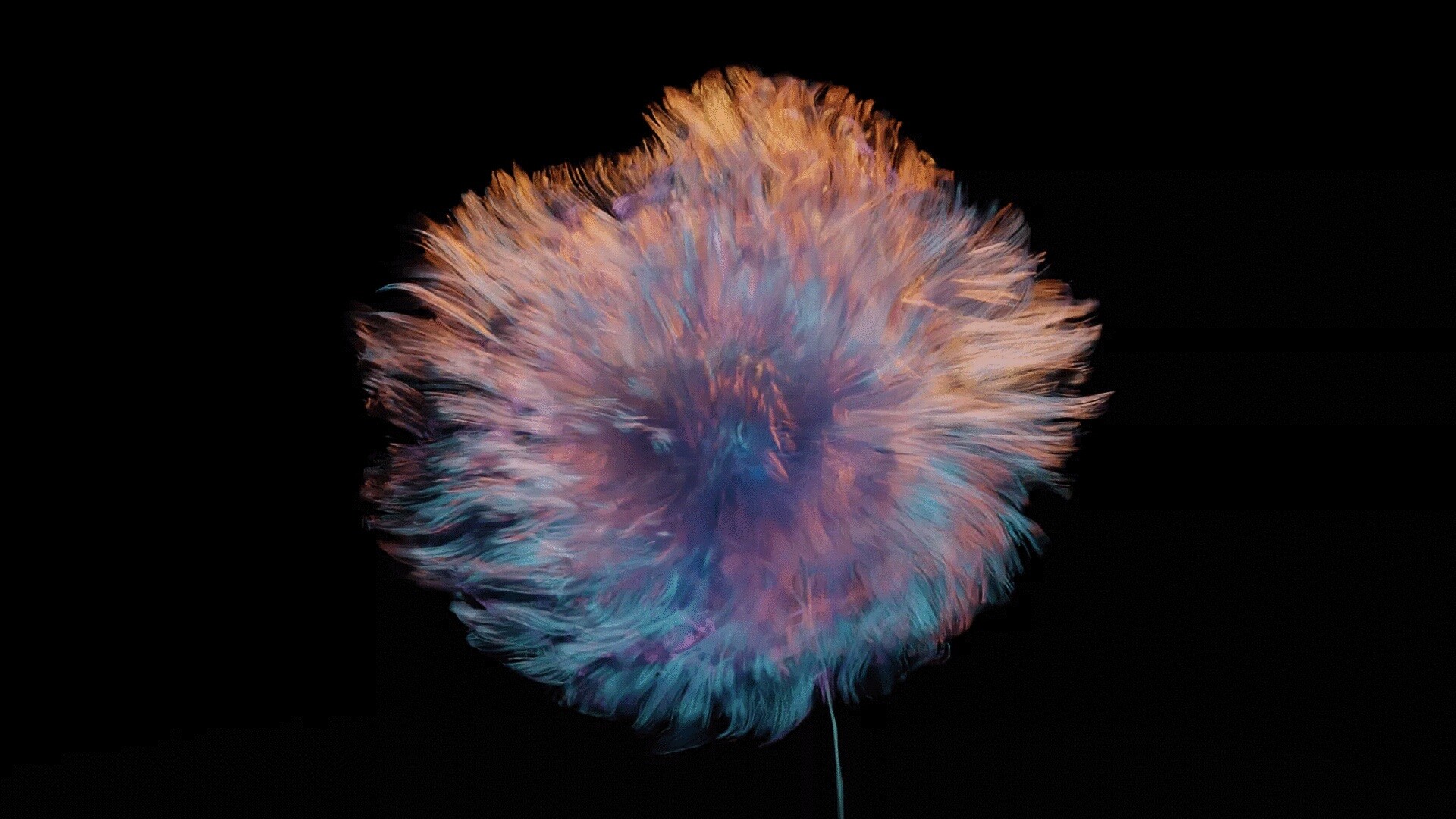 ArtStation - Study Hair Particle on Blender