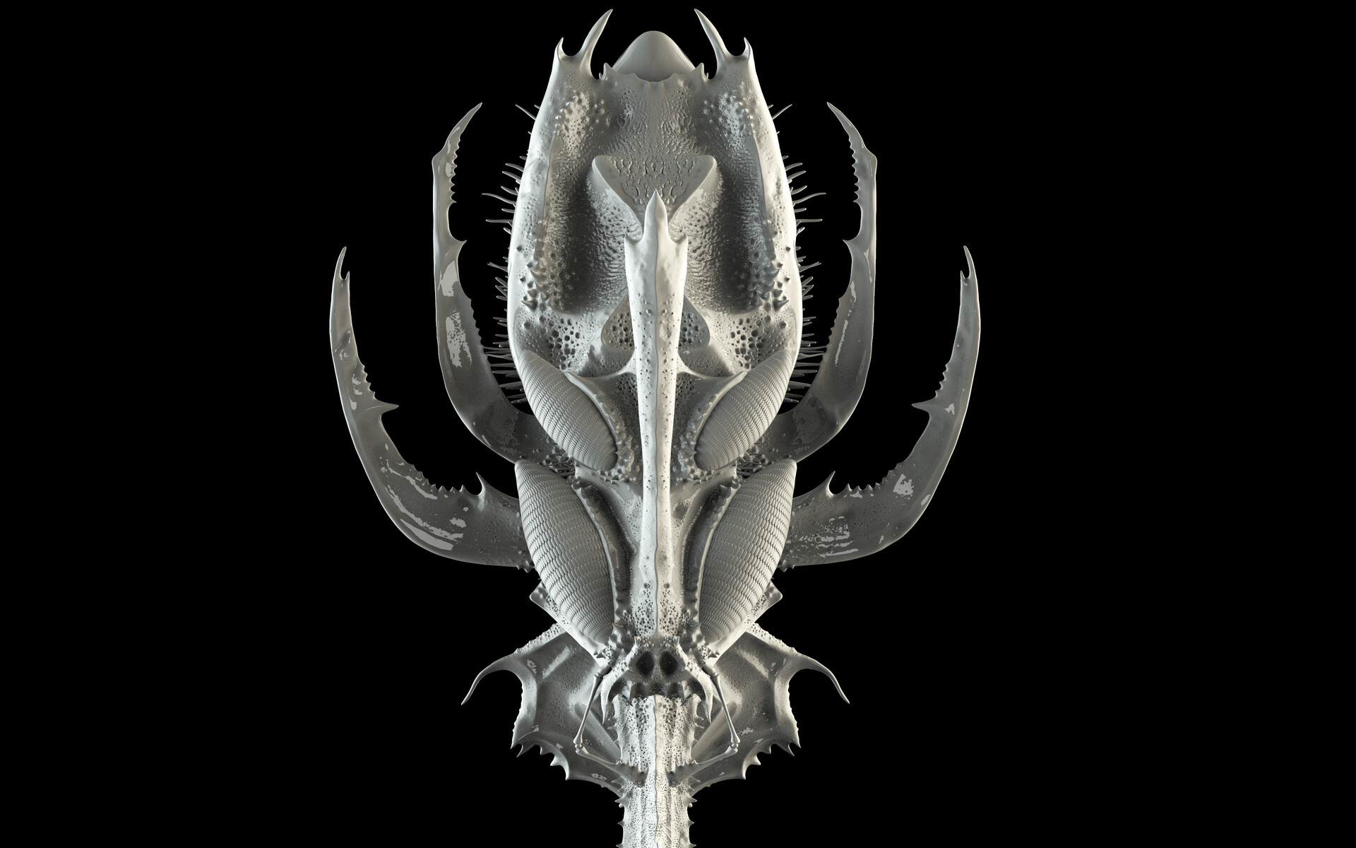 Danni Nolan Designs - Alien Insect Race