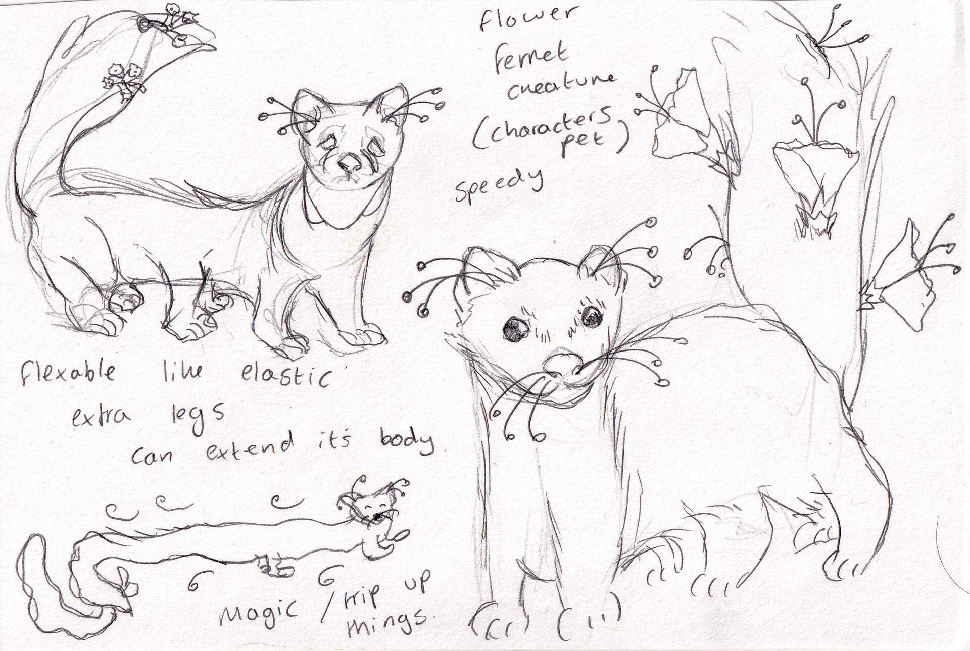 Charlie Ellis - Ferret and Bear Creatures