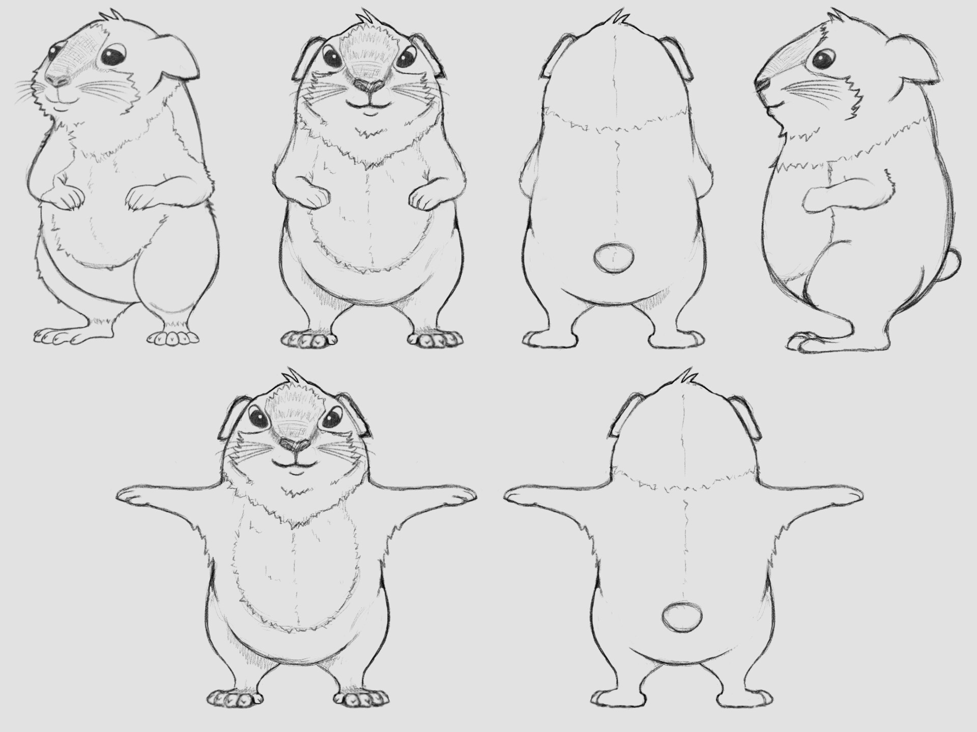 ArtStation - Guinea Pig Character Design