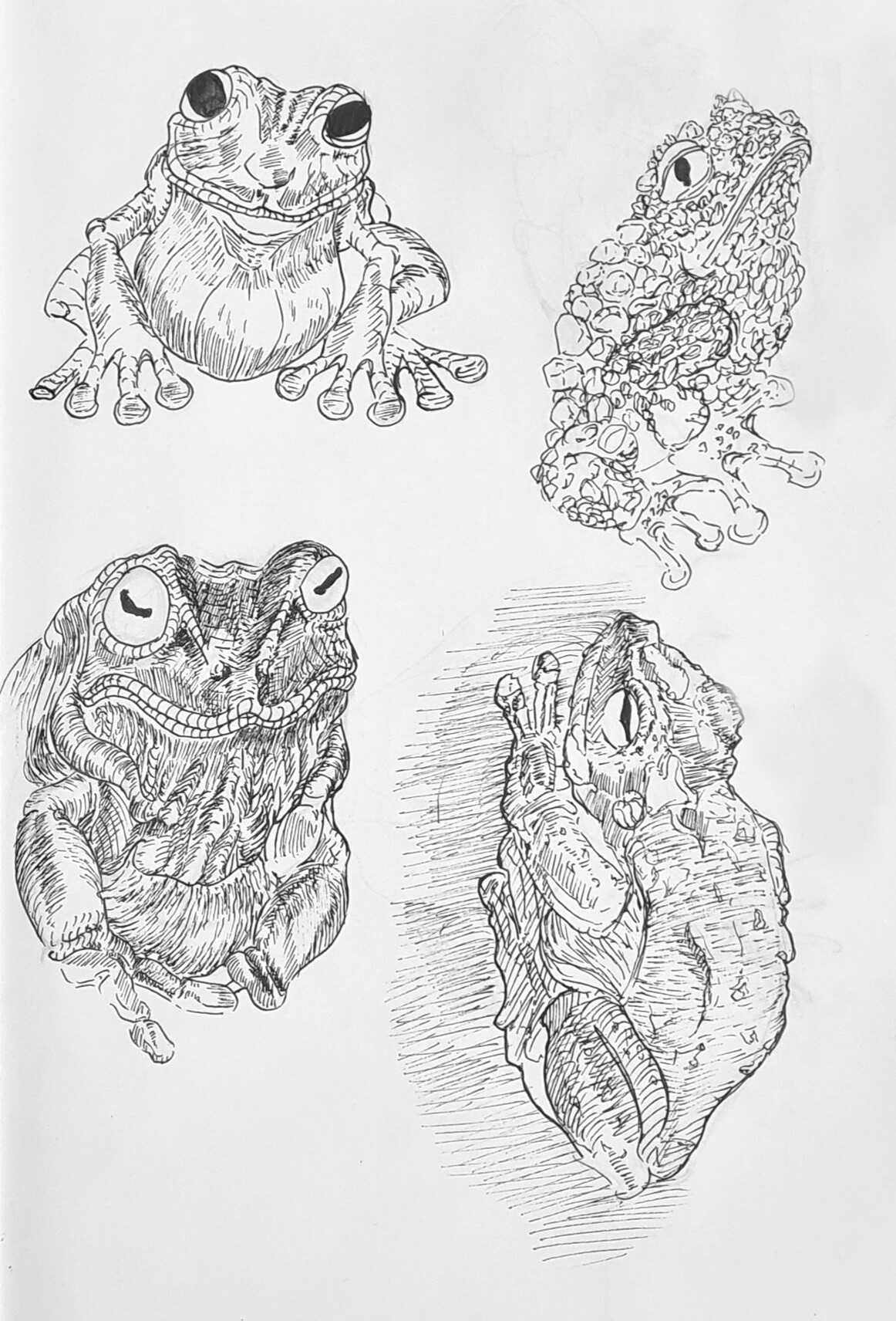 ArtStation - One shot Frog Ink