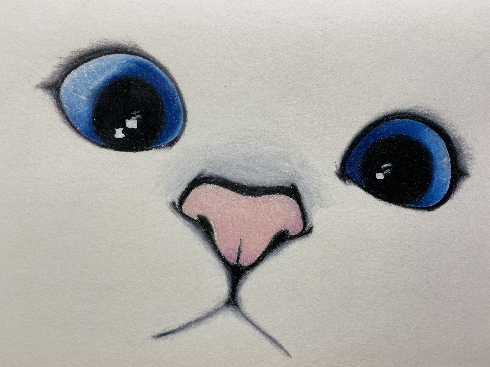 ArtStation - Coby the cat