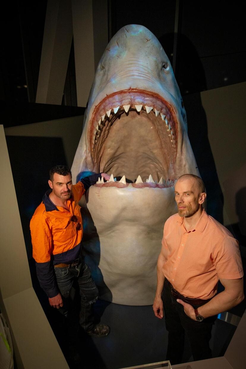 Vlad Konstantinov - LIFE-SIZE Megalodon for WA Museum Boola Bardip