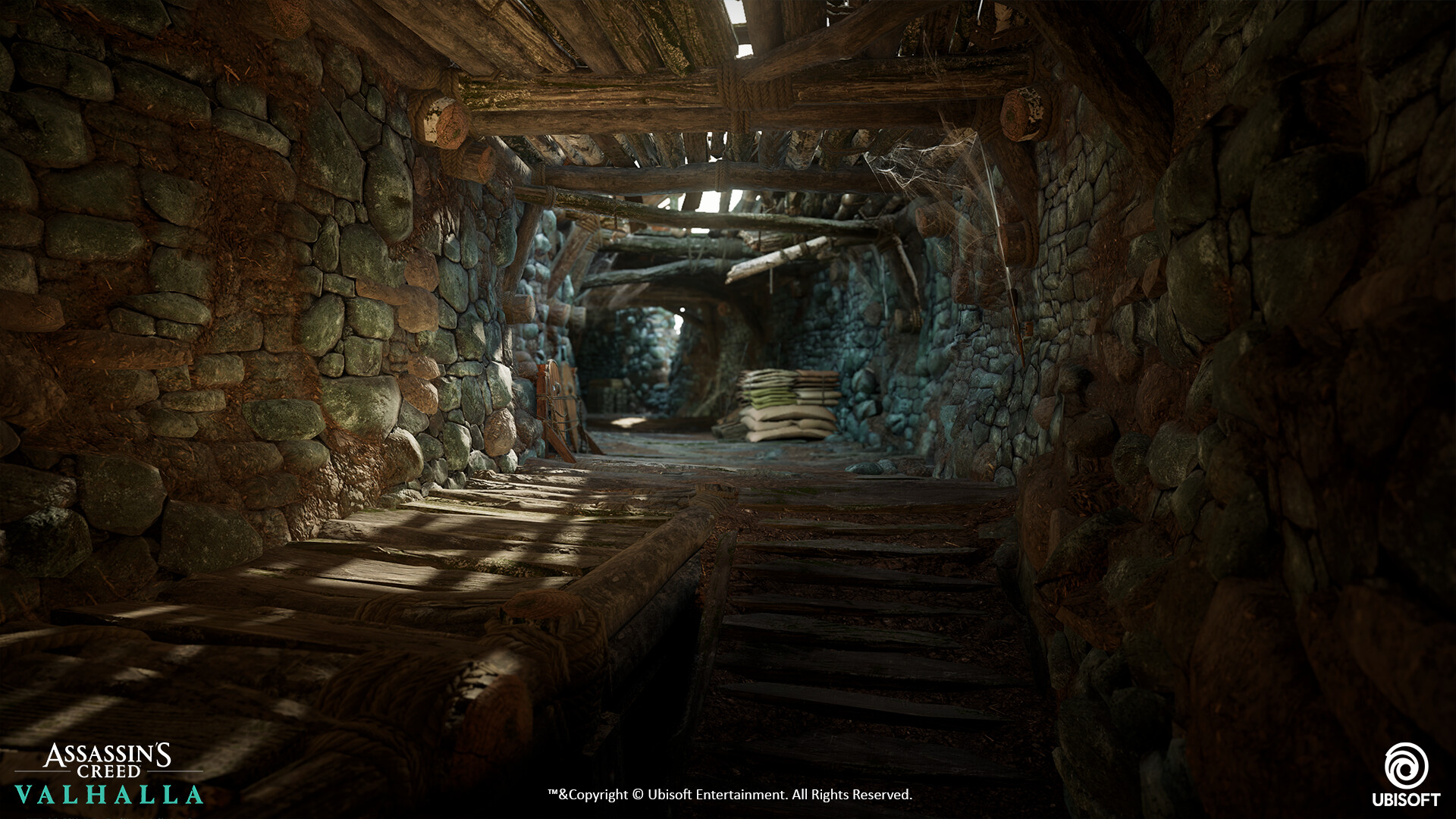 Ludovic Petiot - Assassin's Creed Valhalla : Wrath of the Druids ...