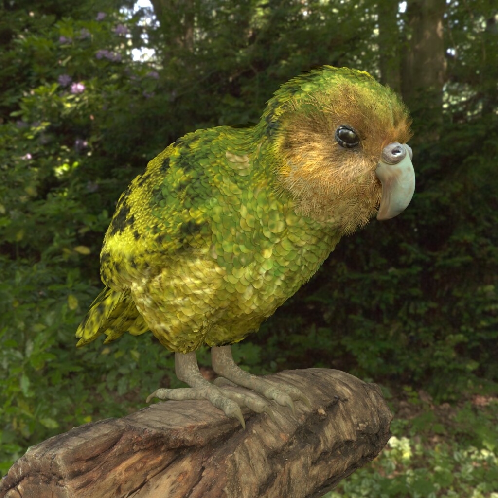ArtStation - 3D Kakapo