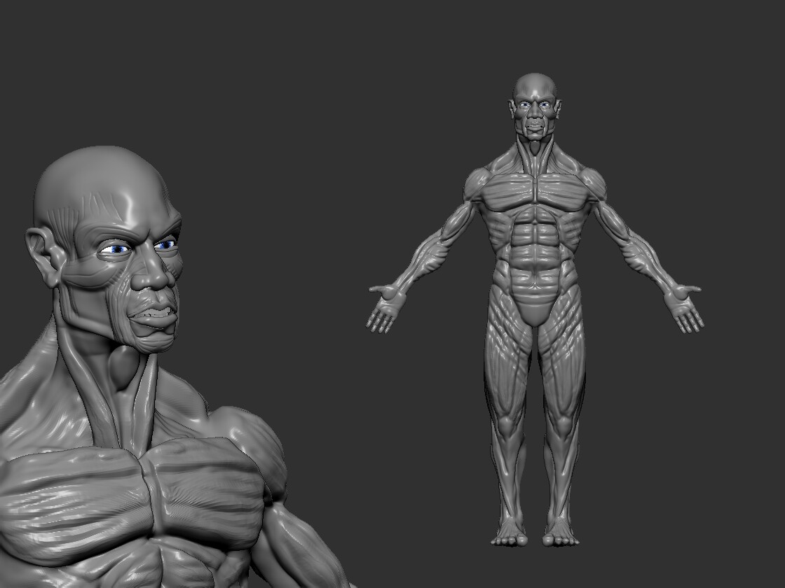 ArtStation - 3d model Zbrush