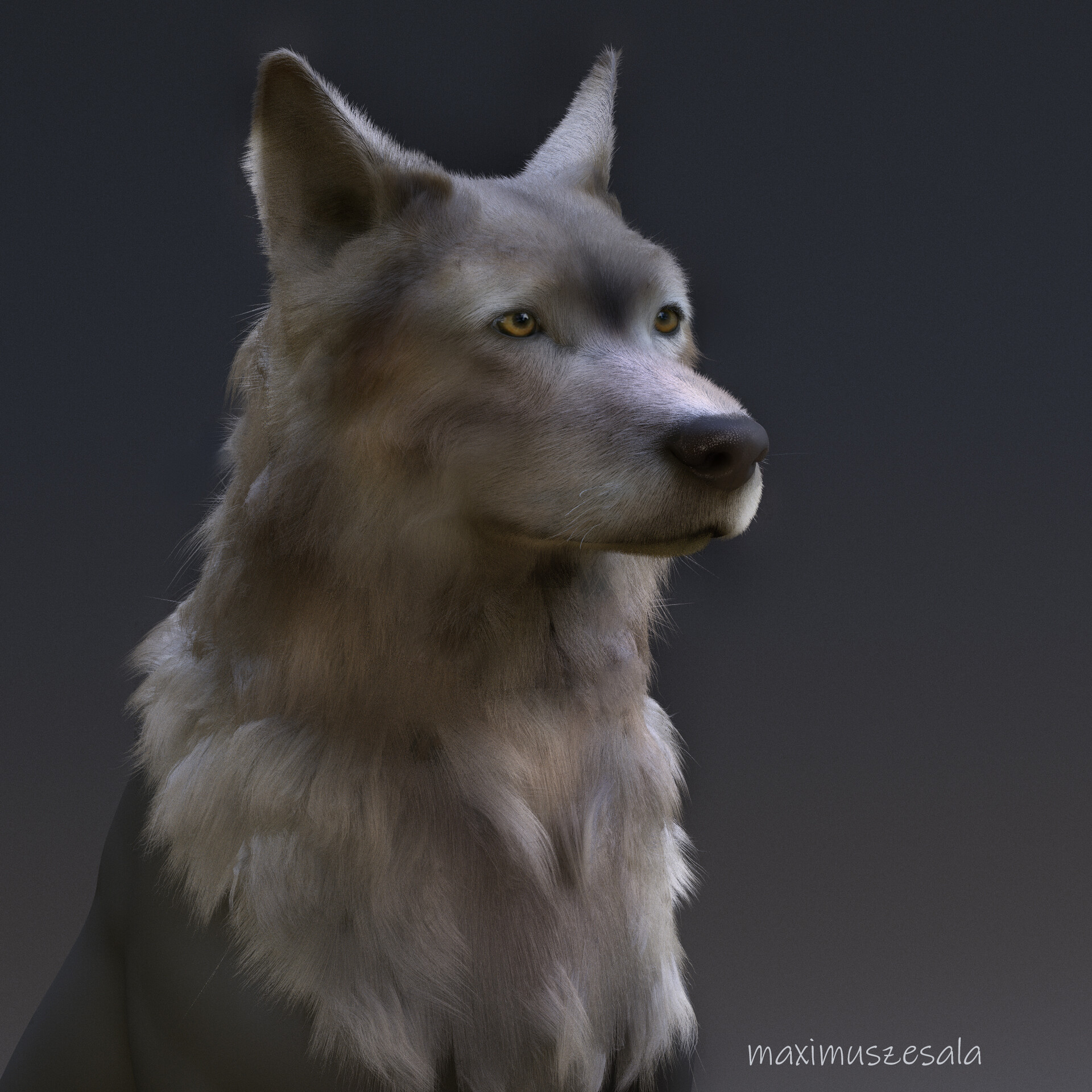 ArtStation - Hybrid wolf Aragon