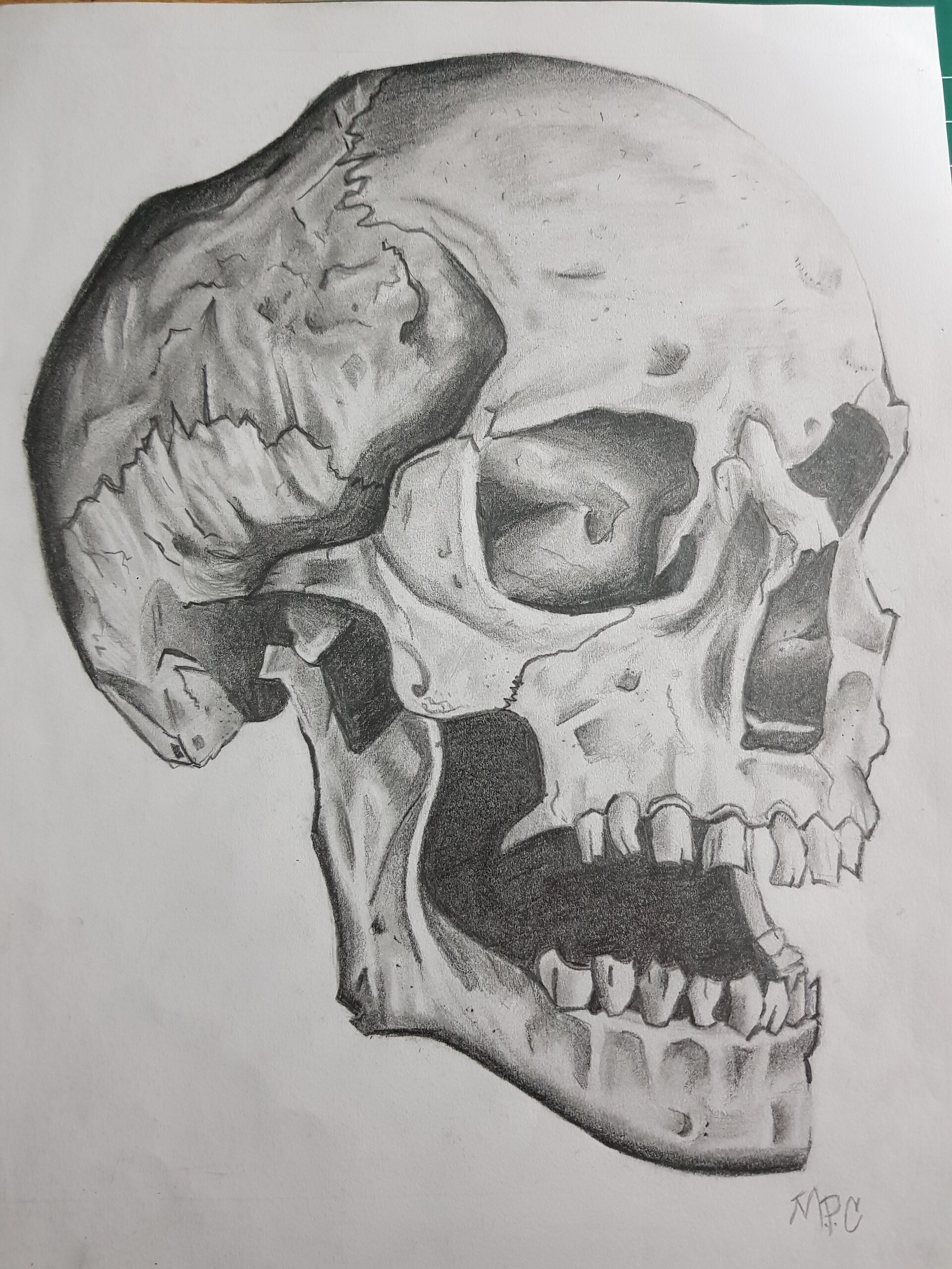 ArtStation - Human_skull