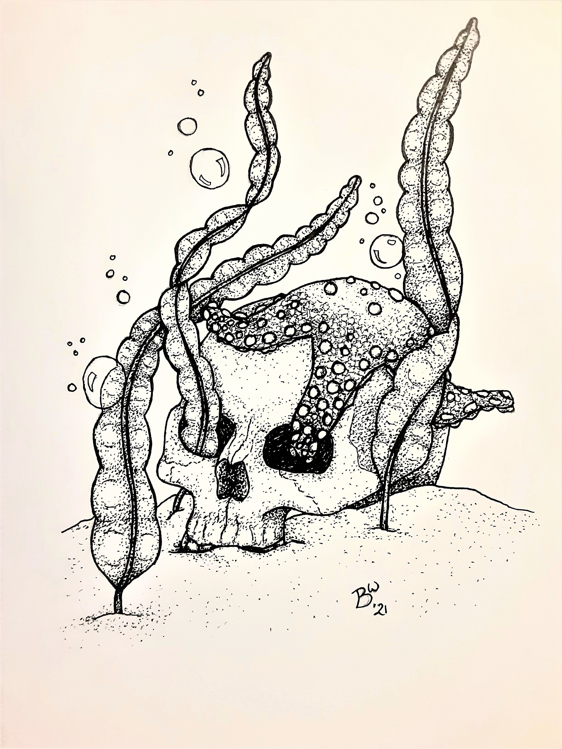 ArtStation - Pen Practice! Stippling studies, Whimsical designs