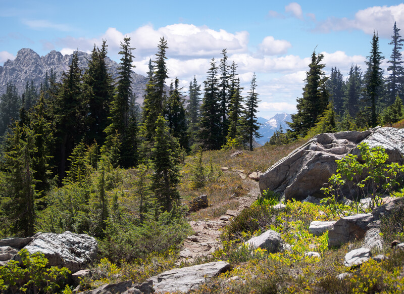 ArtStation - Lasma Zeimule