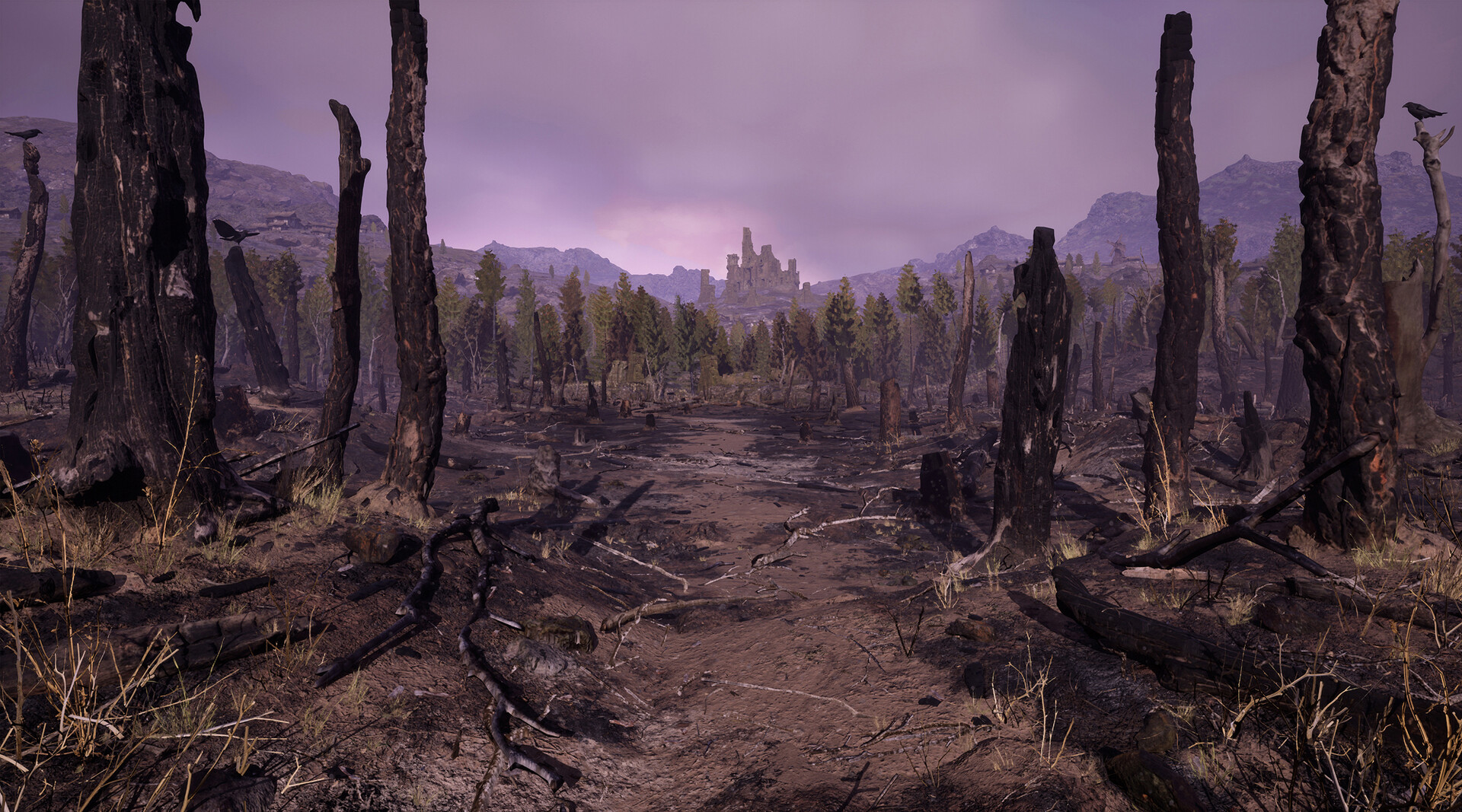 ArtStation - Cursed Lands