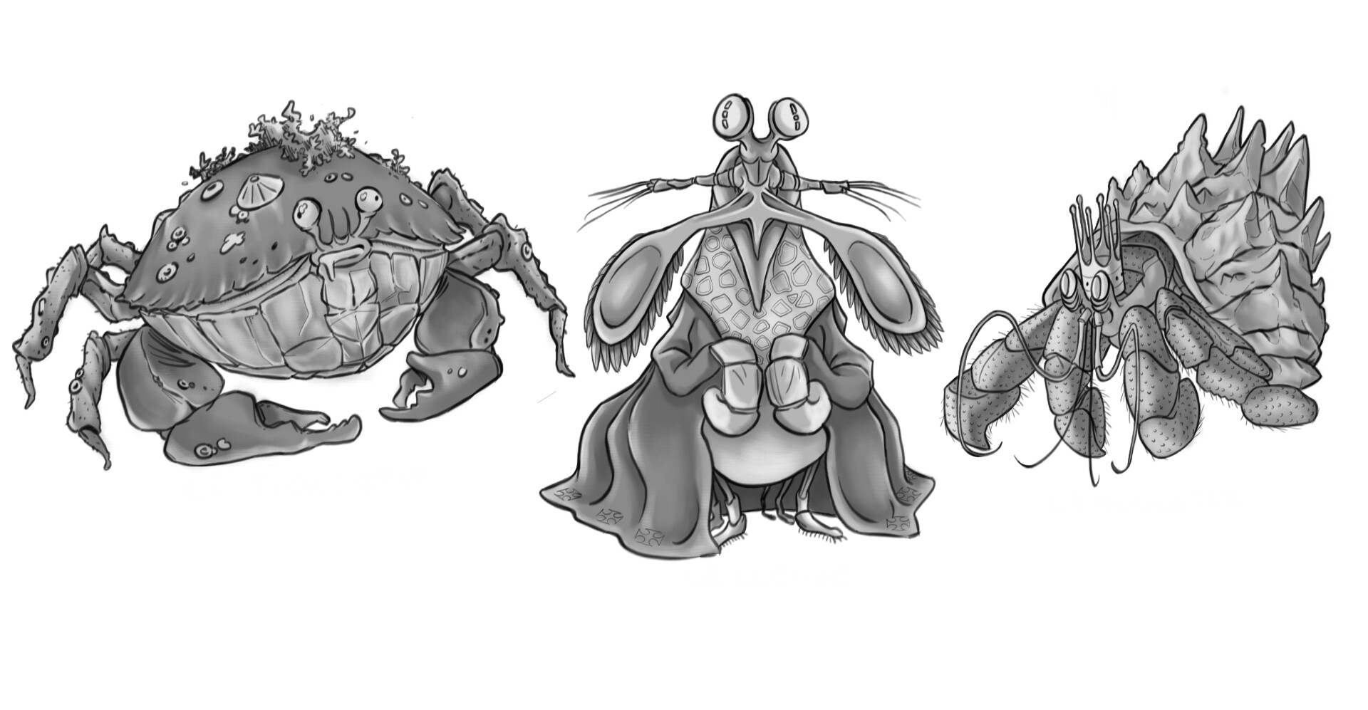 ArtStation - Crustacean Concept Art