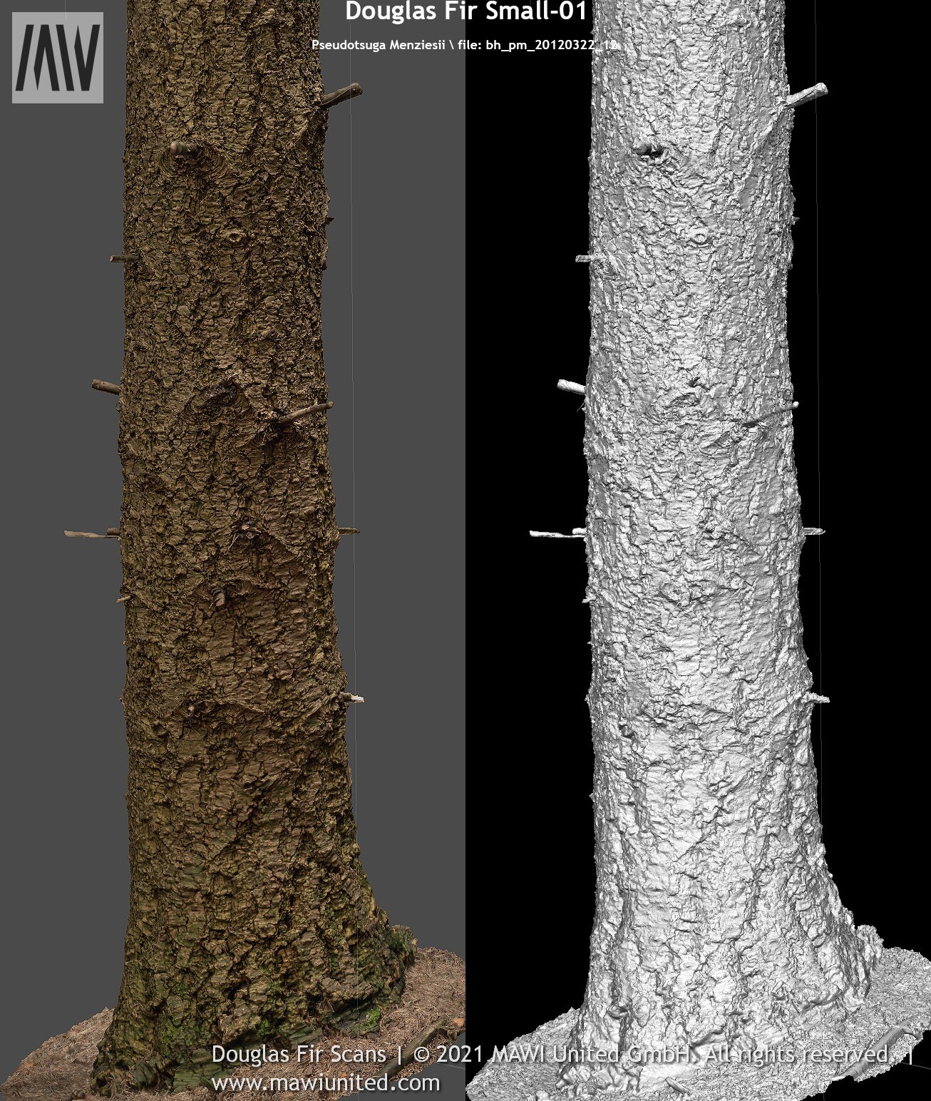 MAWI United - Alan Wake 2 - RAW Scan PM - Douglas Fir