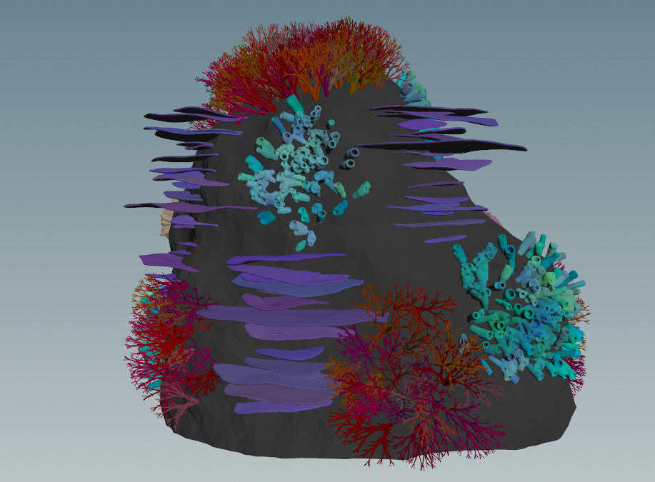 procedural coral