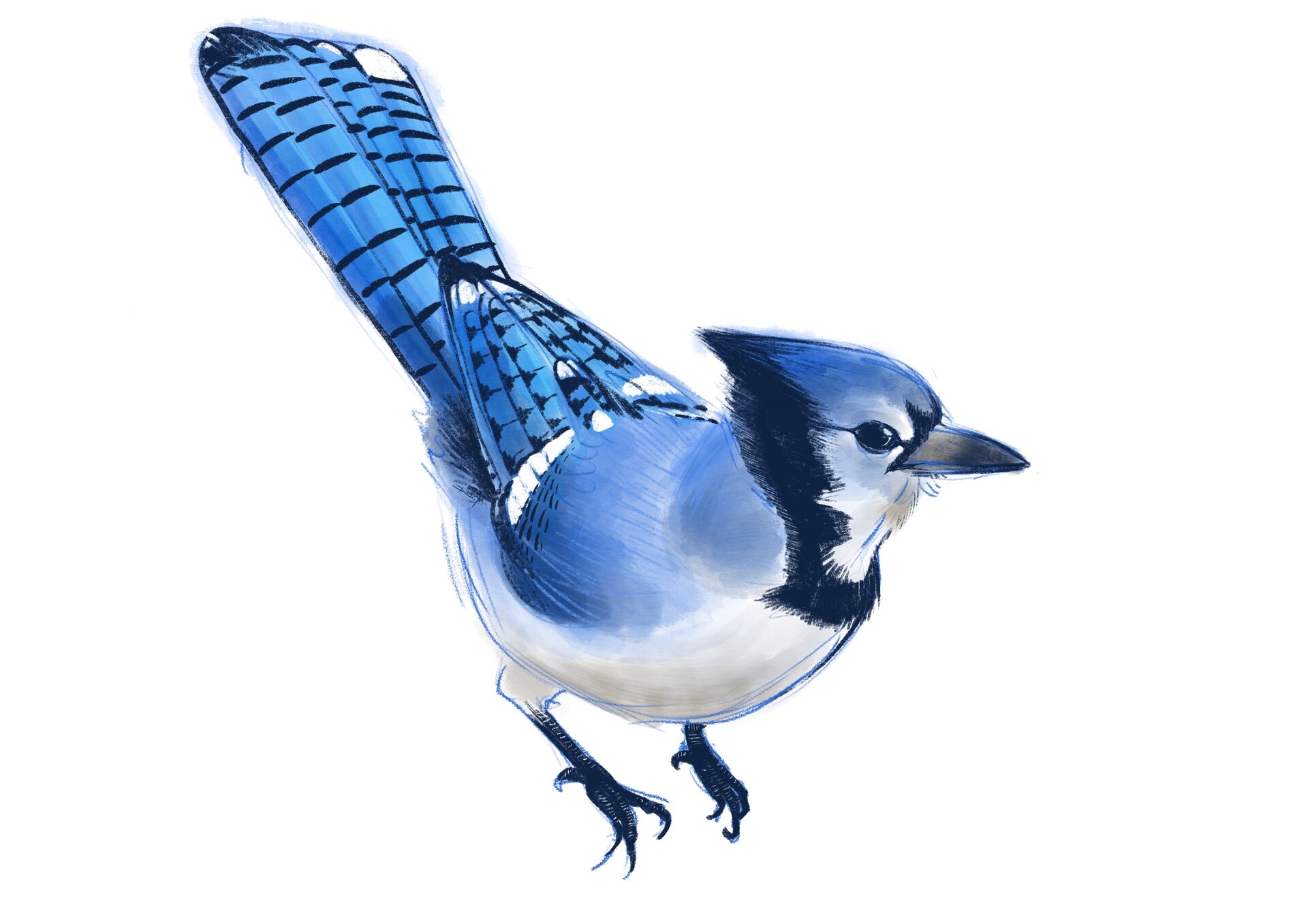 ArtStation - Birds 2.0