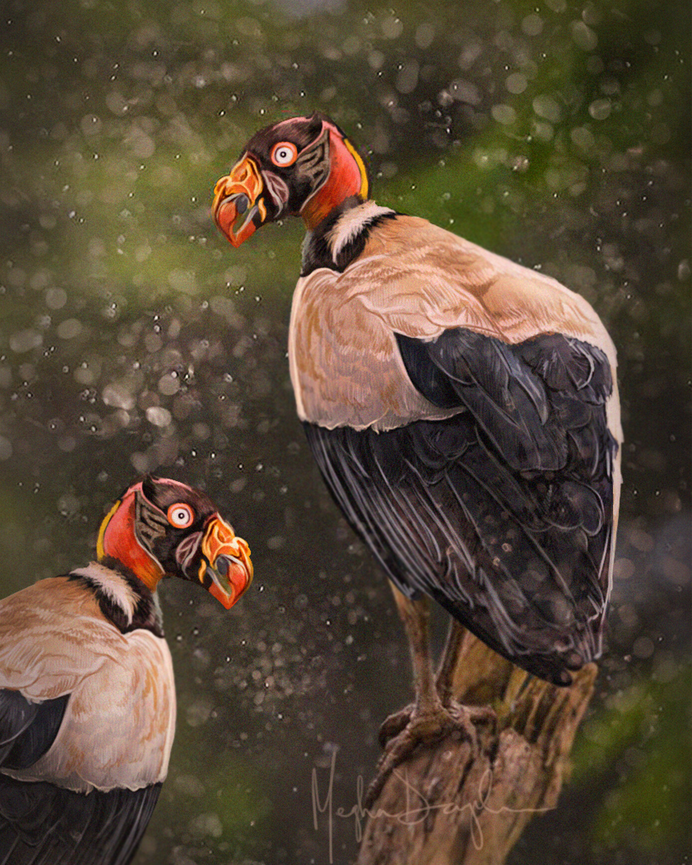 ArtStation - Zopilote Rey at Costa Rica with rain