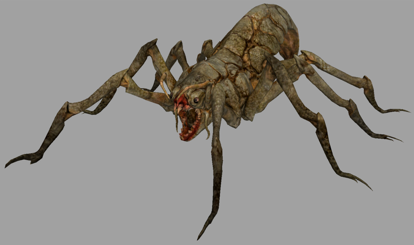 ArtStation - Spider Retopology