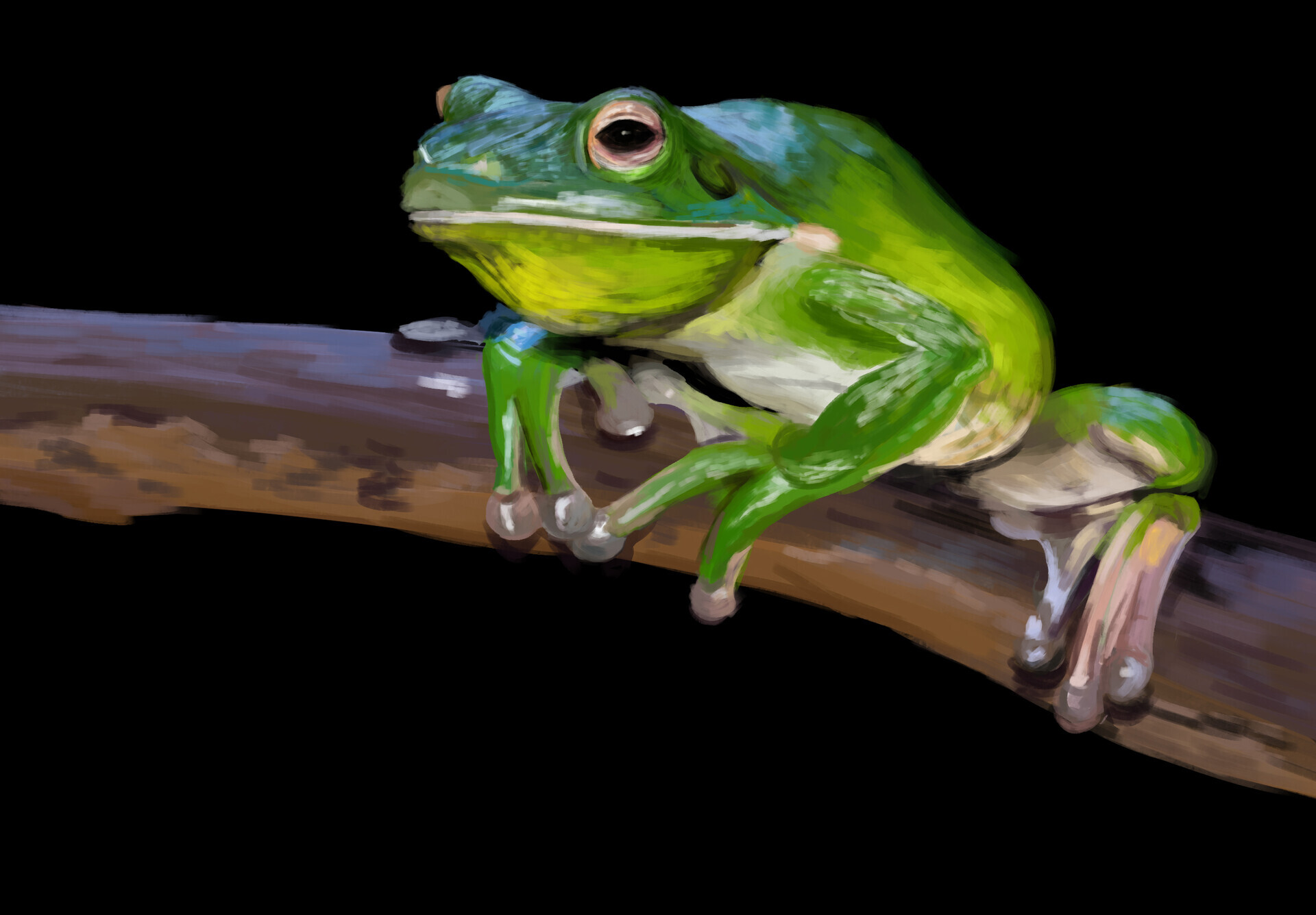 ArtStation - Frog Study