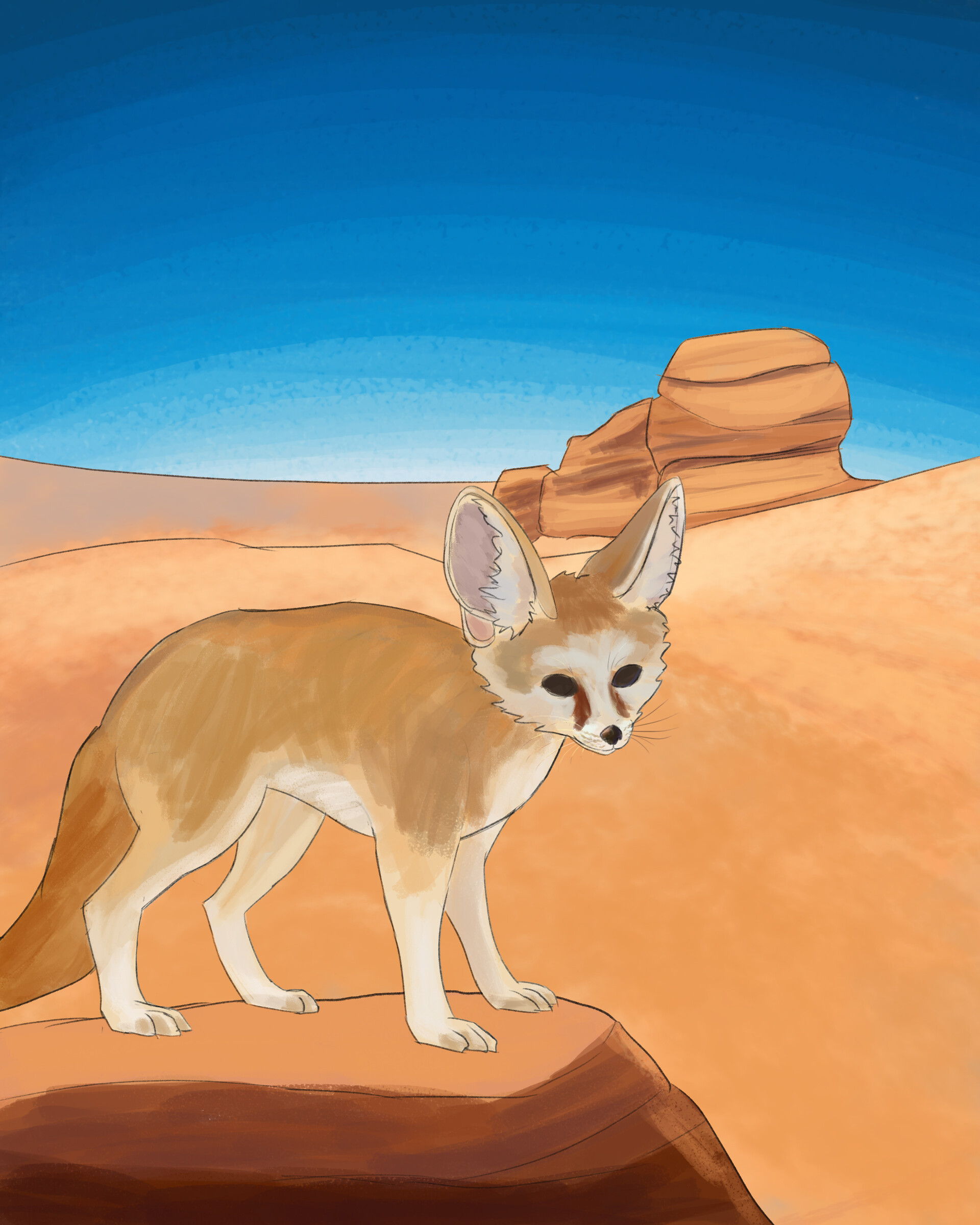 Fennec Fox Colours