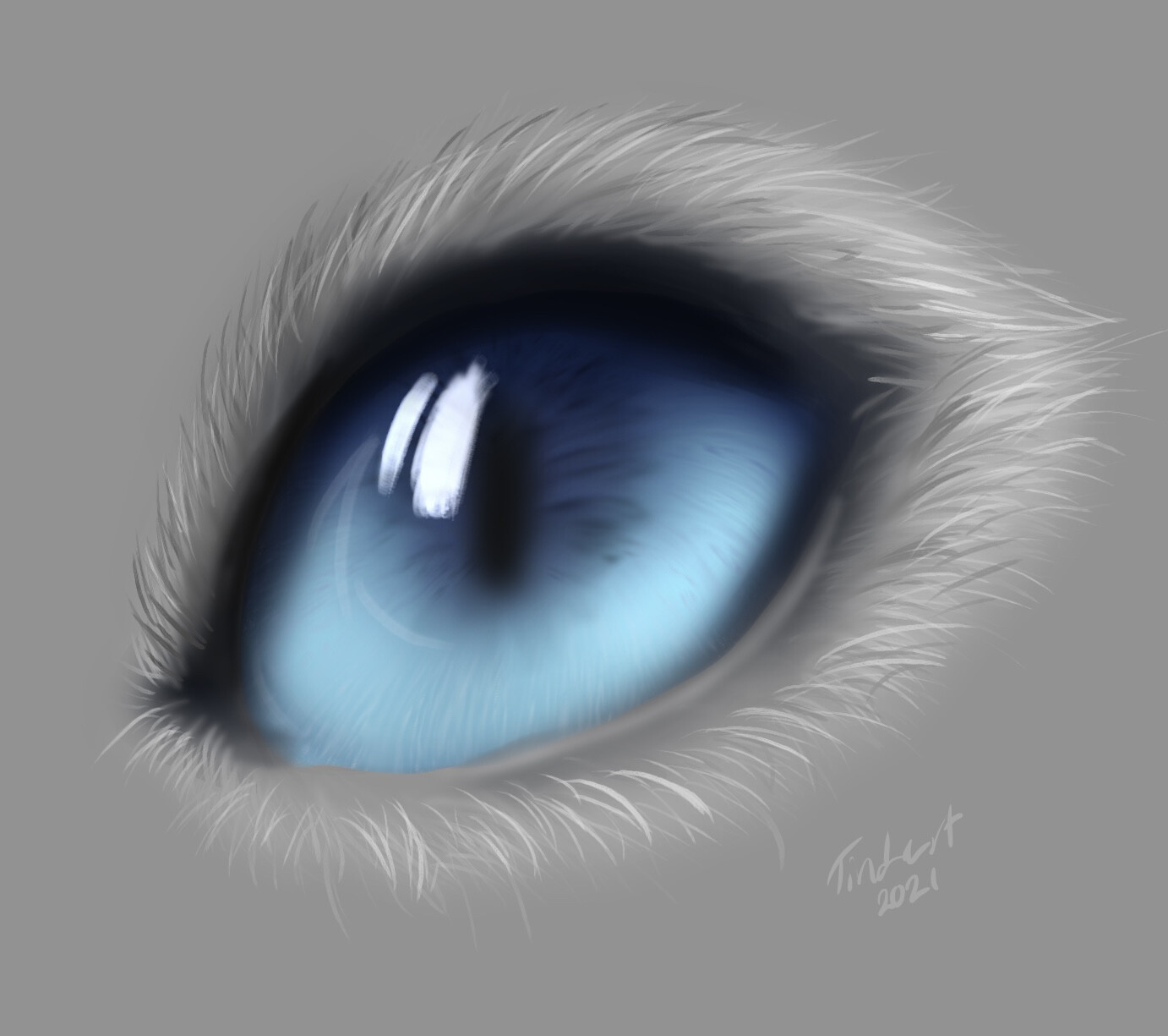 ArtStation - Blue Cat eye