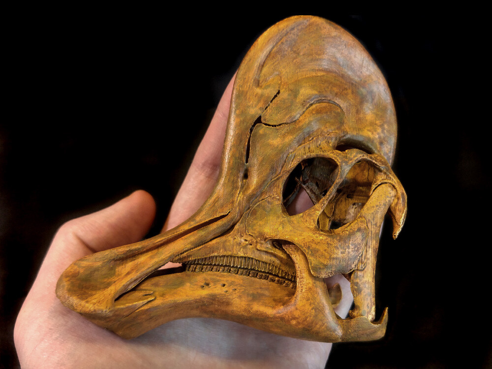 corythosaurus skull bones