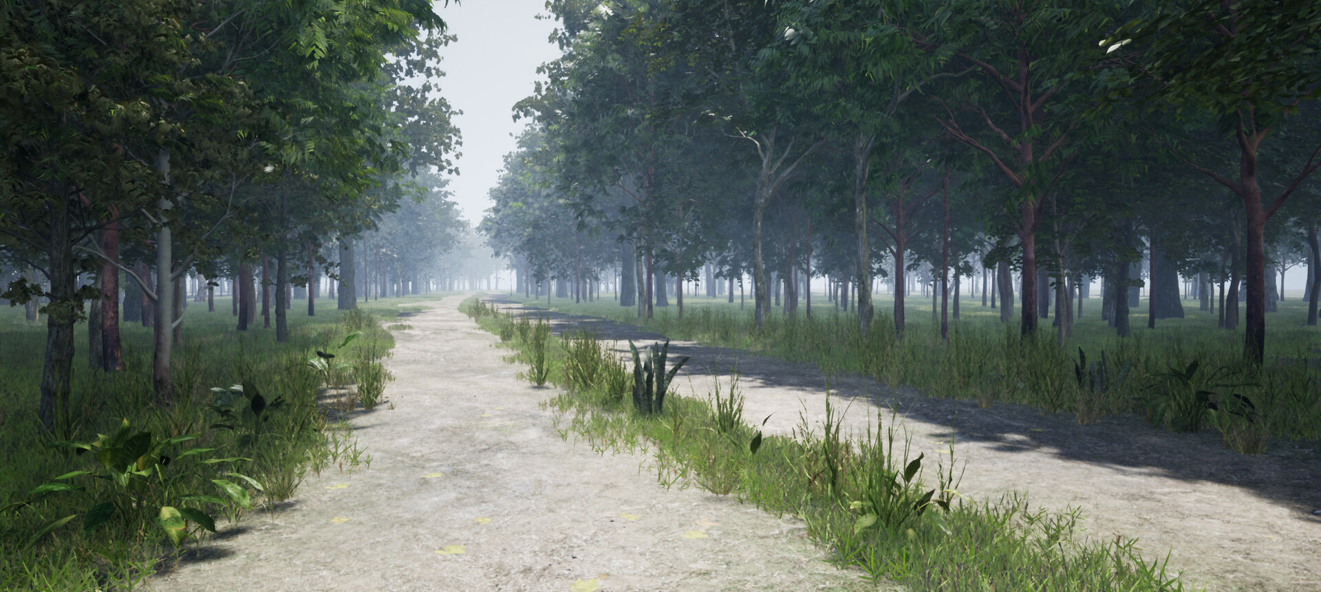 ArtStation - Forest Path