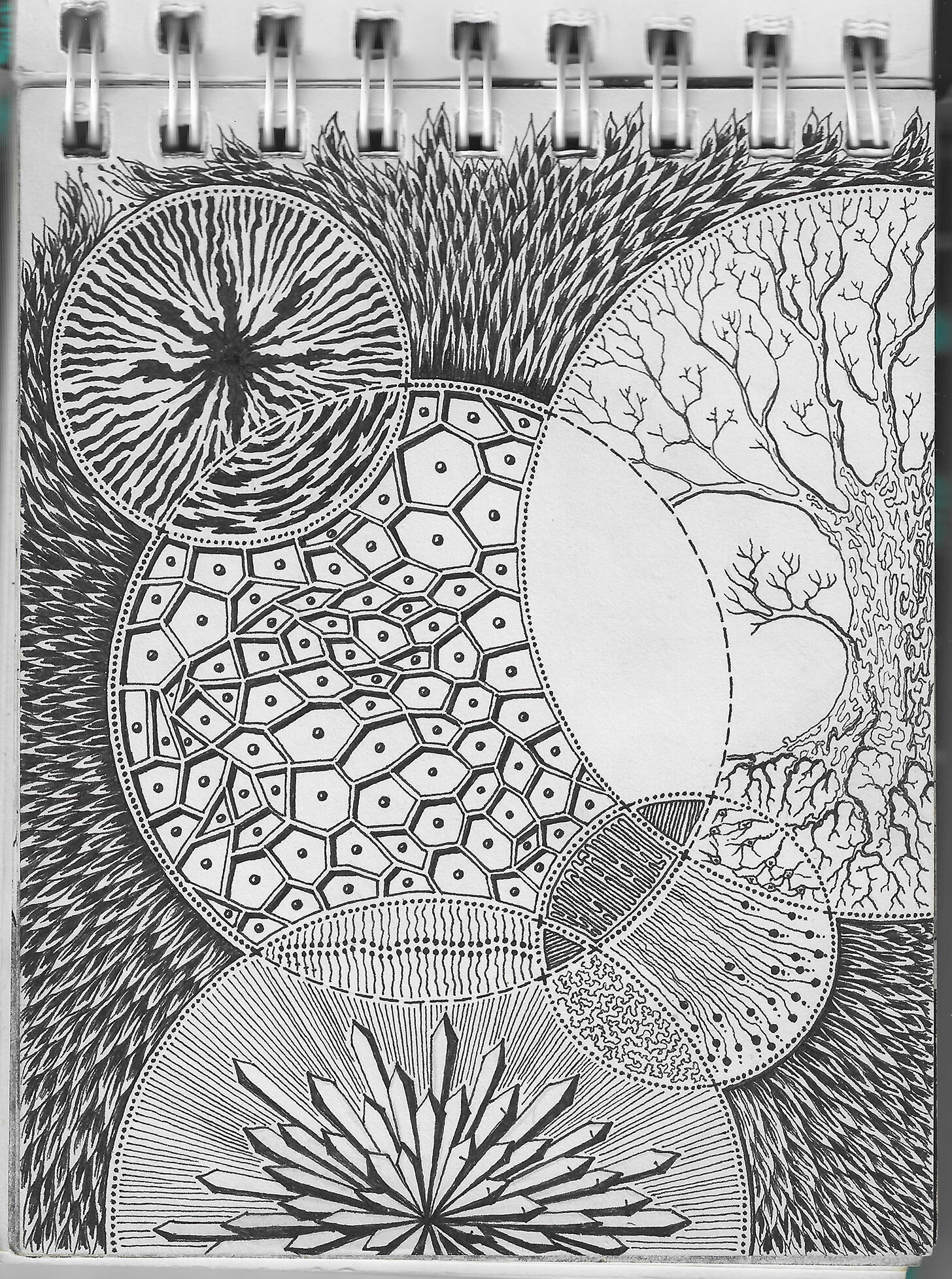 ArtStation - The rings of genesis