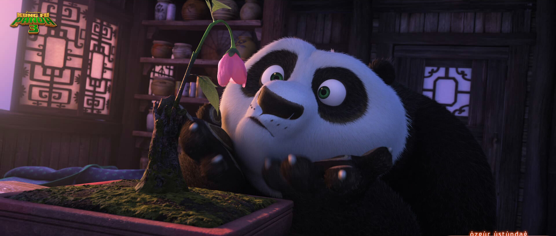 Kung Fu Panda Po Eating Cookies