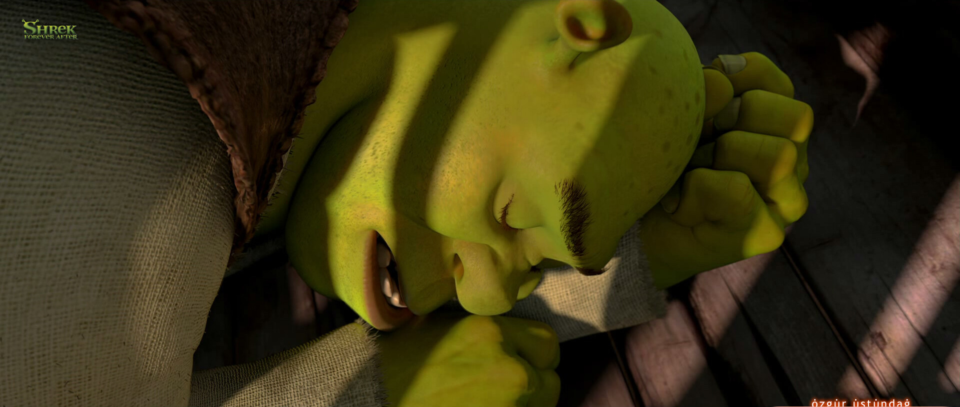 shrek crying
